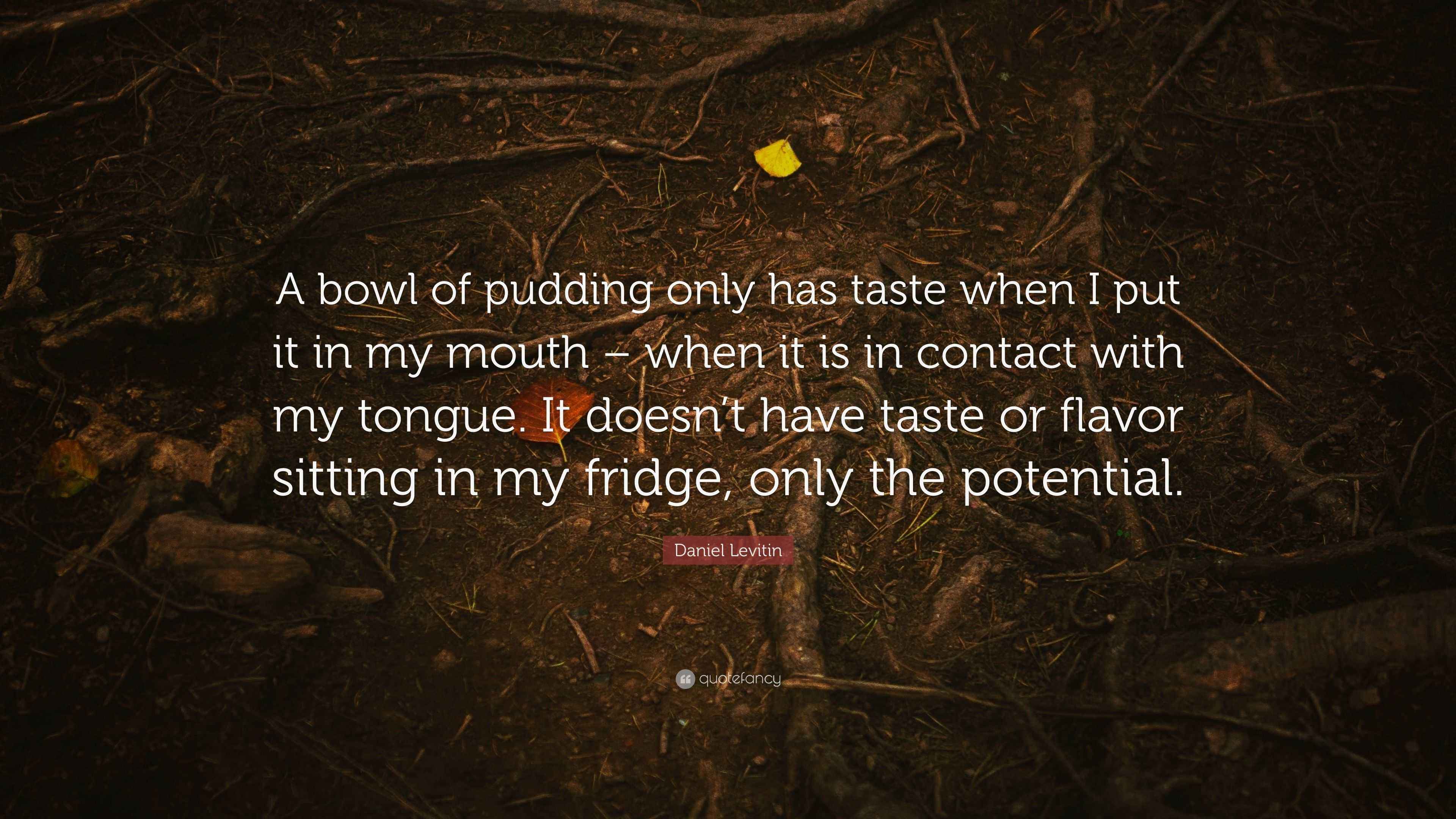 Daniel Levitin Quote: “A bowl of pudding only has taste when I put it ...