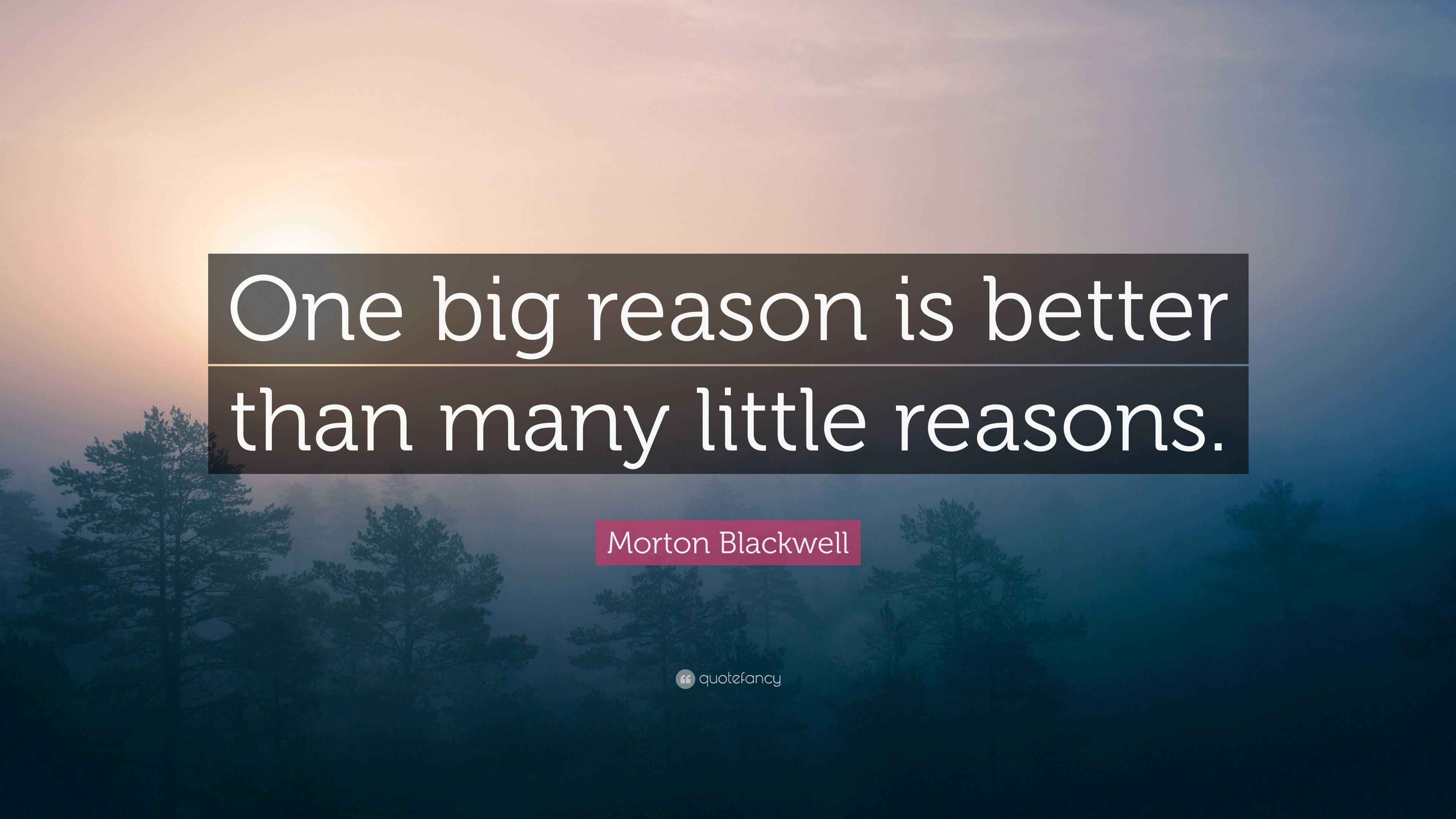 Morton Blackwell Quote: “One big reason is better than many little ...