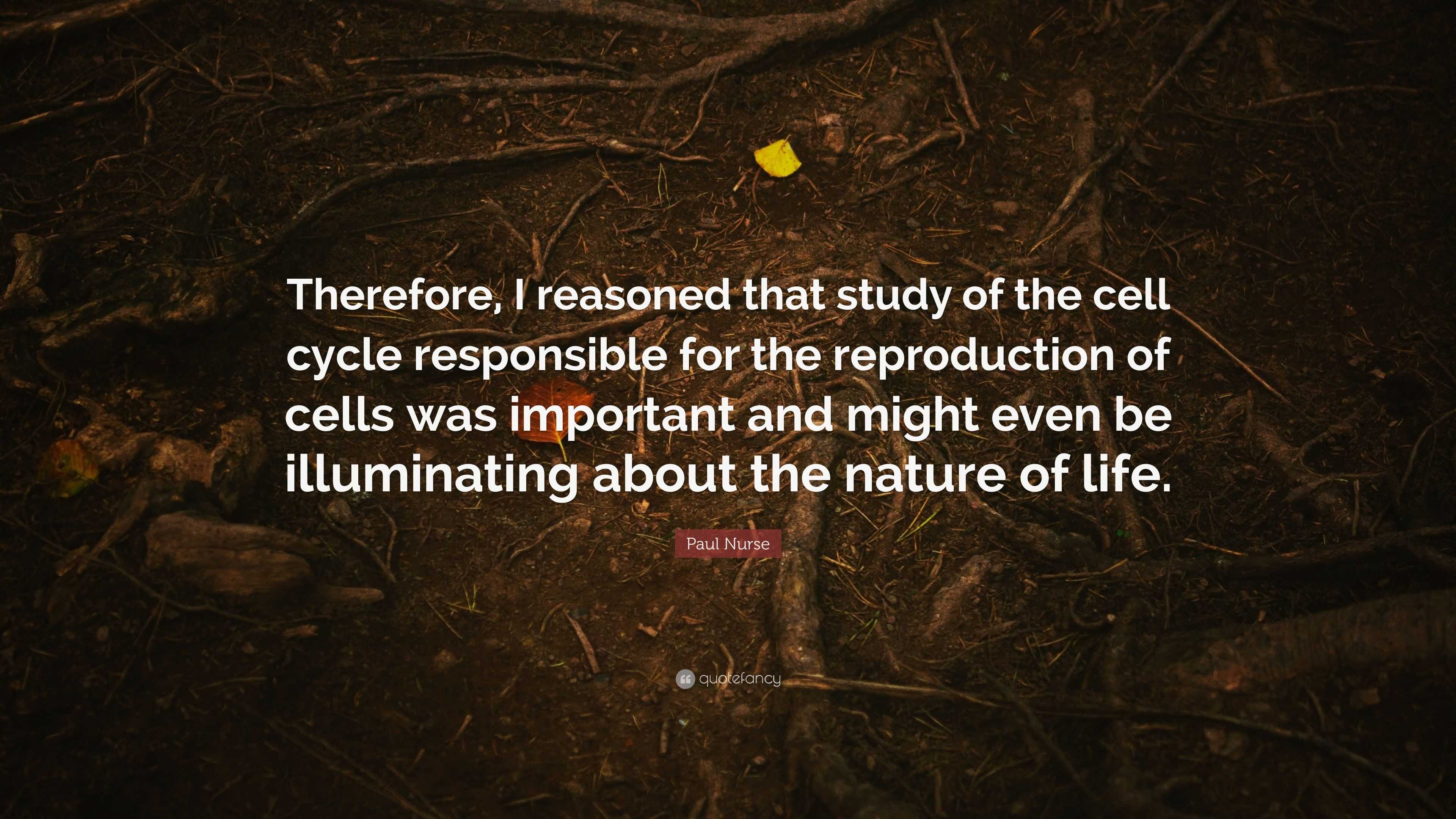 Paul Nurse Quote: “Therefore, I reasoned that study of the cell cycle ...