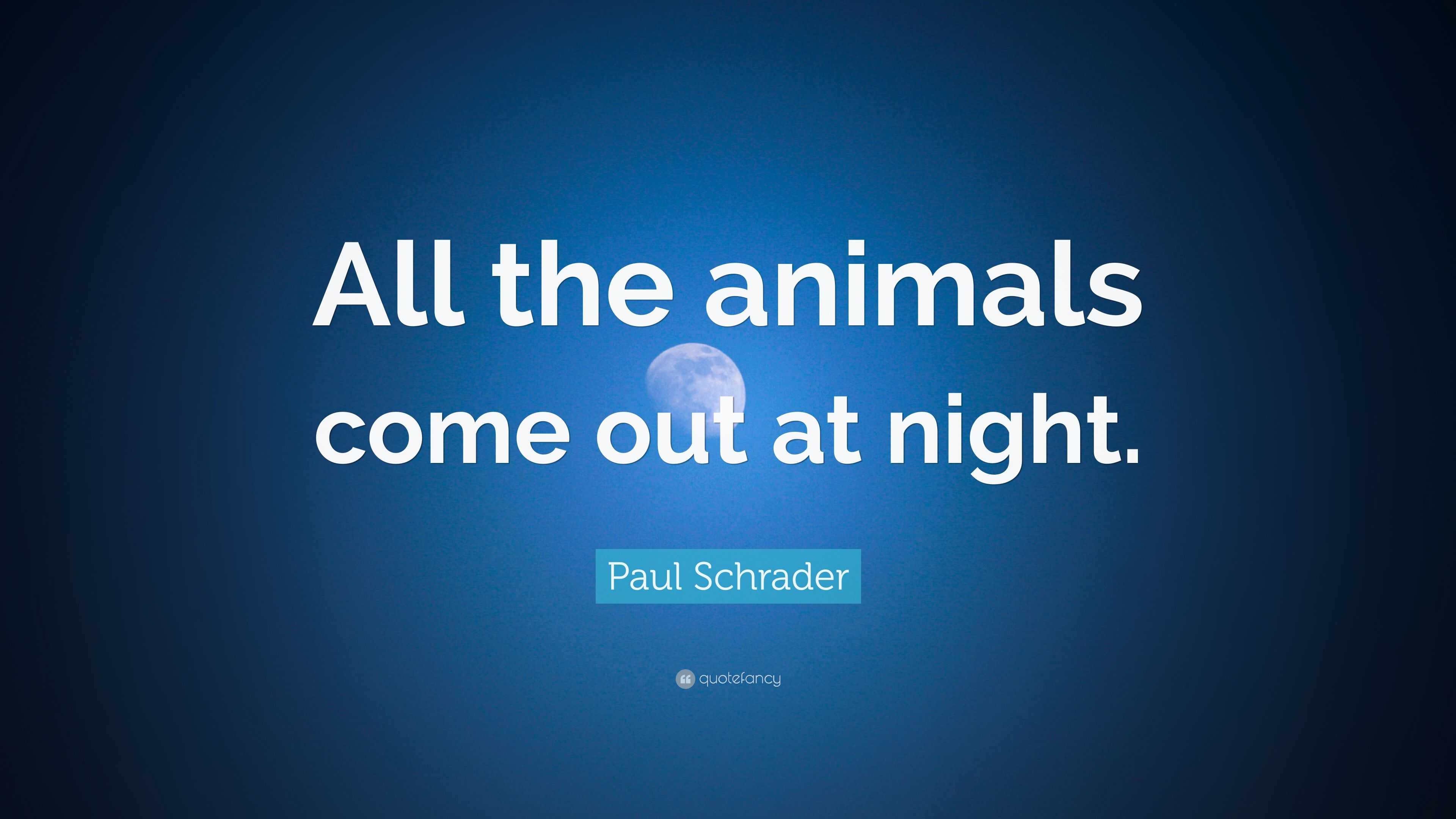 Paul Schrader Quote: “All the animals come out at night.”