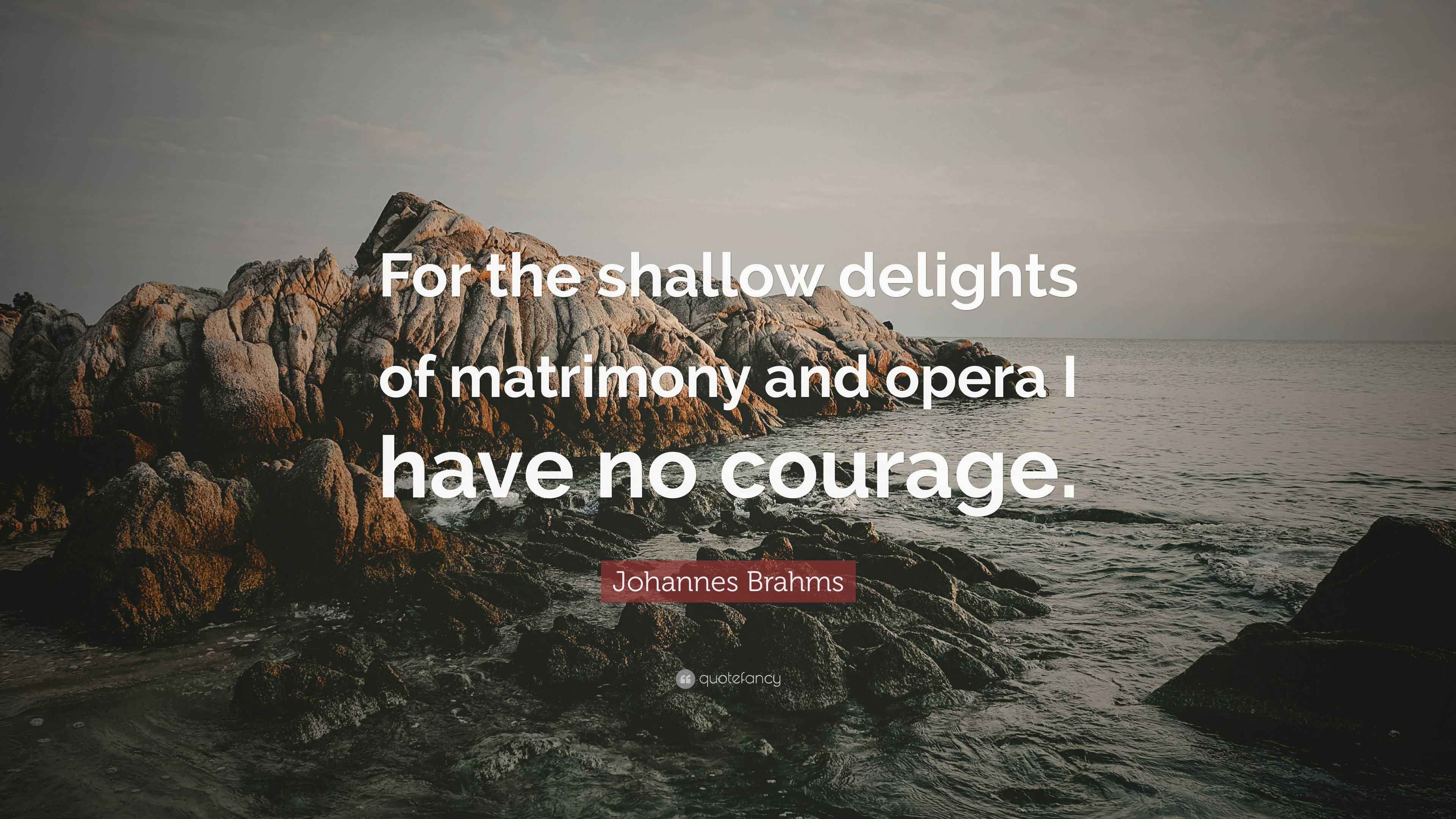 Johannes Brahms Quote: “For the shallow delights of matrimony and opera ...