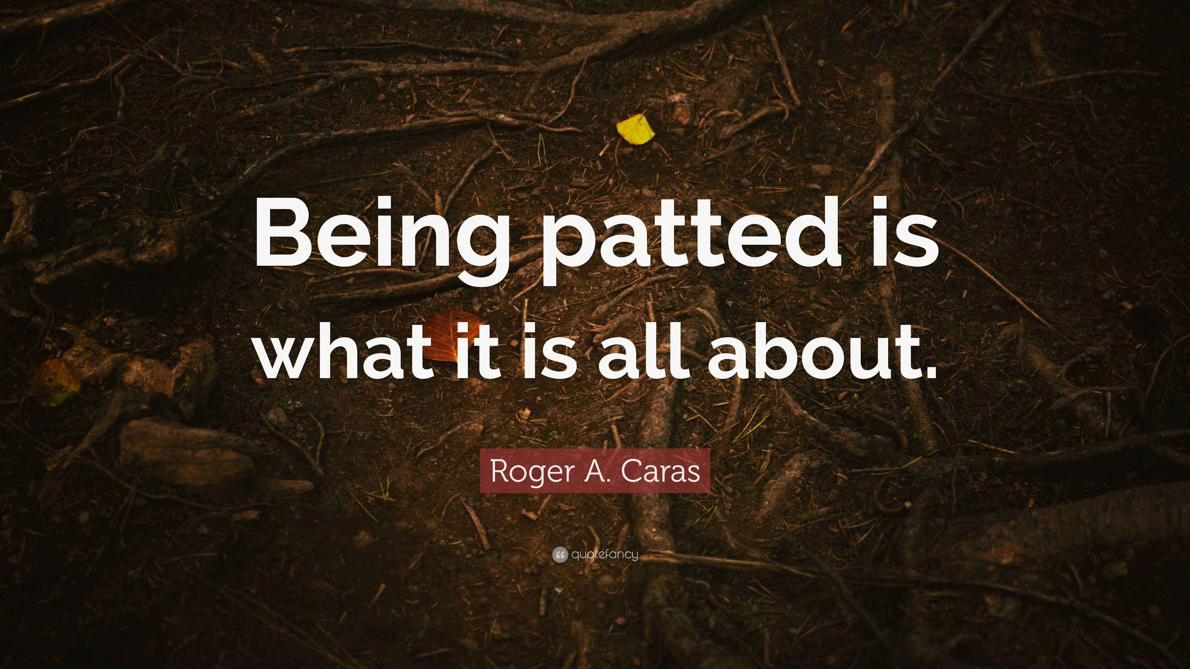 Roger A. Caras Quote: “Being patted is what it is all about.”