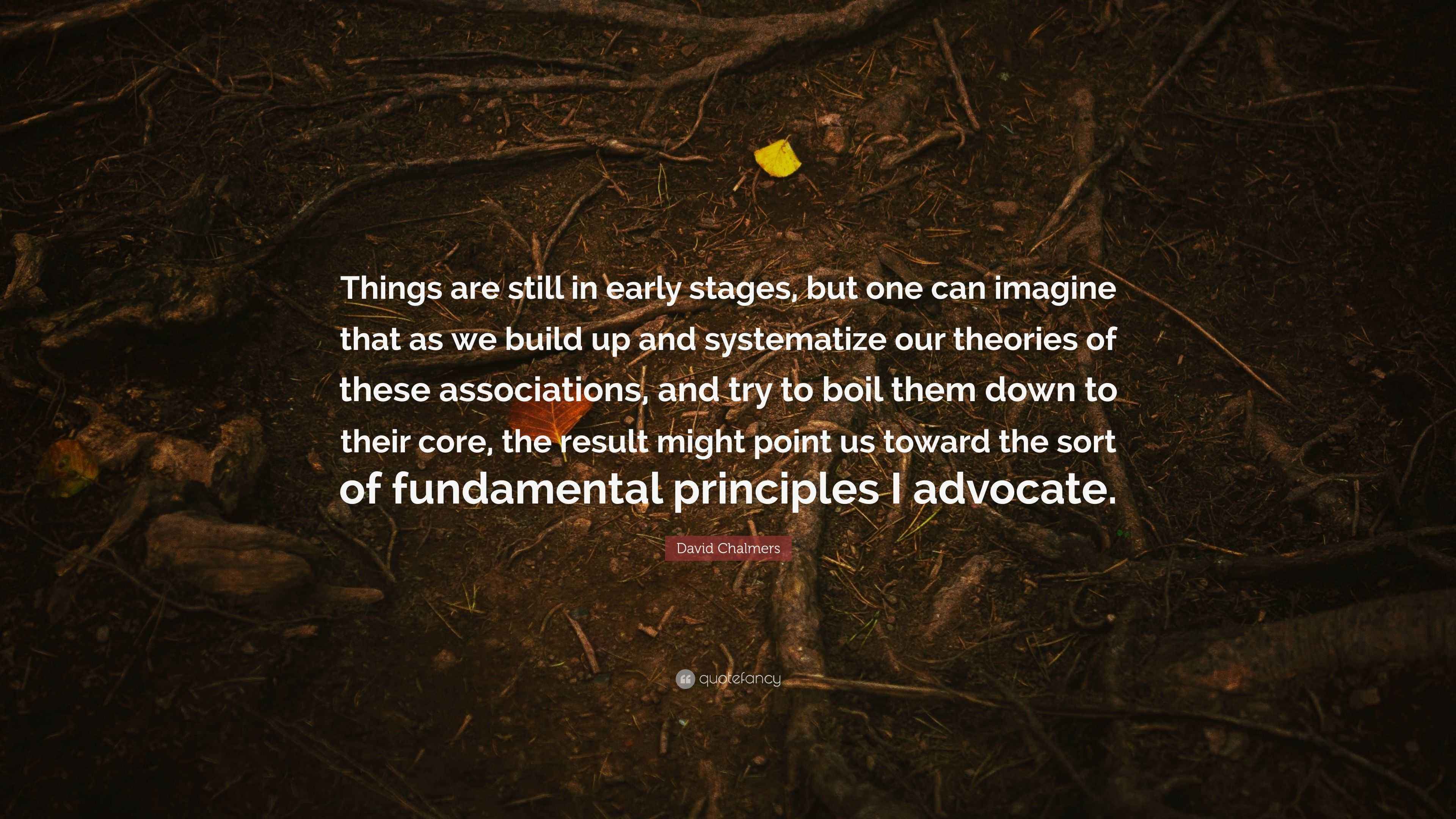 David Chalmers Quote: “Things are still in early stages, but one can ...
