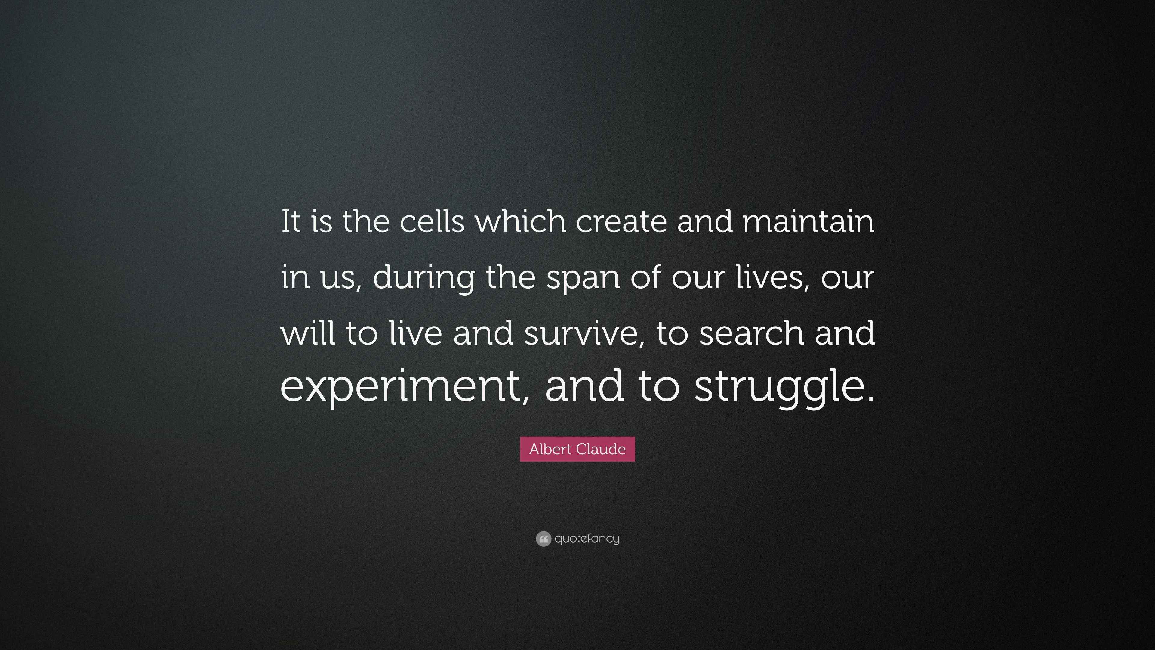 Albert Claude Quote: “It is the cells which create and maintain in us ...