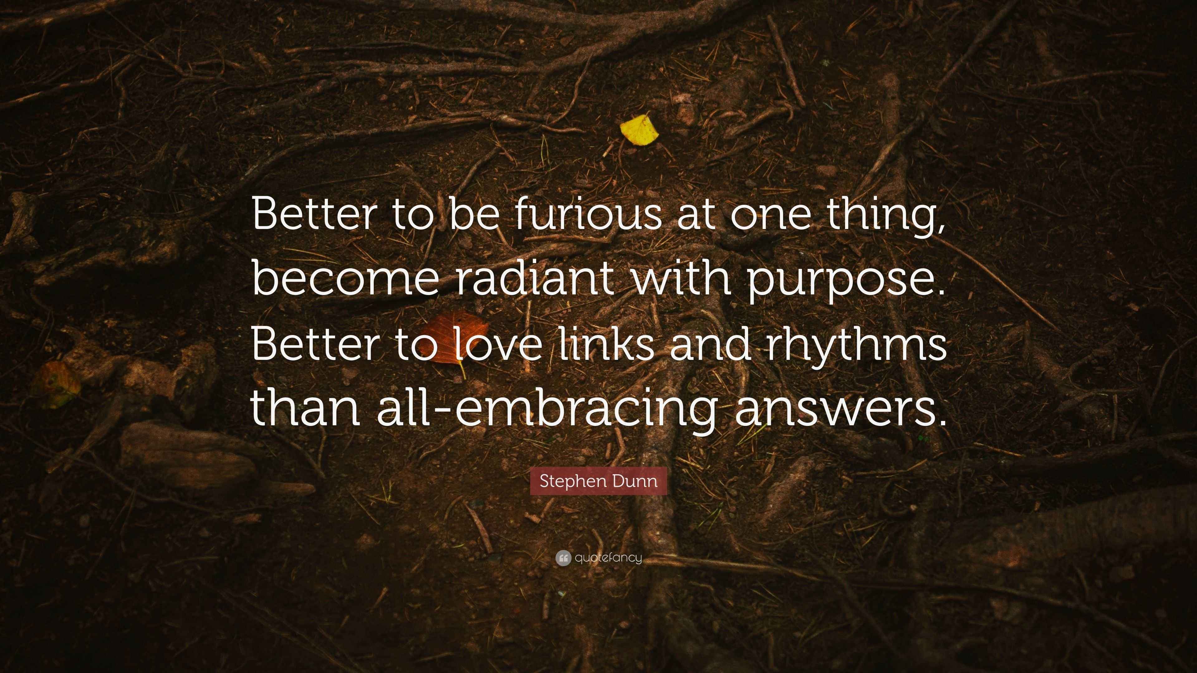 Stephen Dunn Quote: “Better to be furious at one thing, become radiant ...