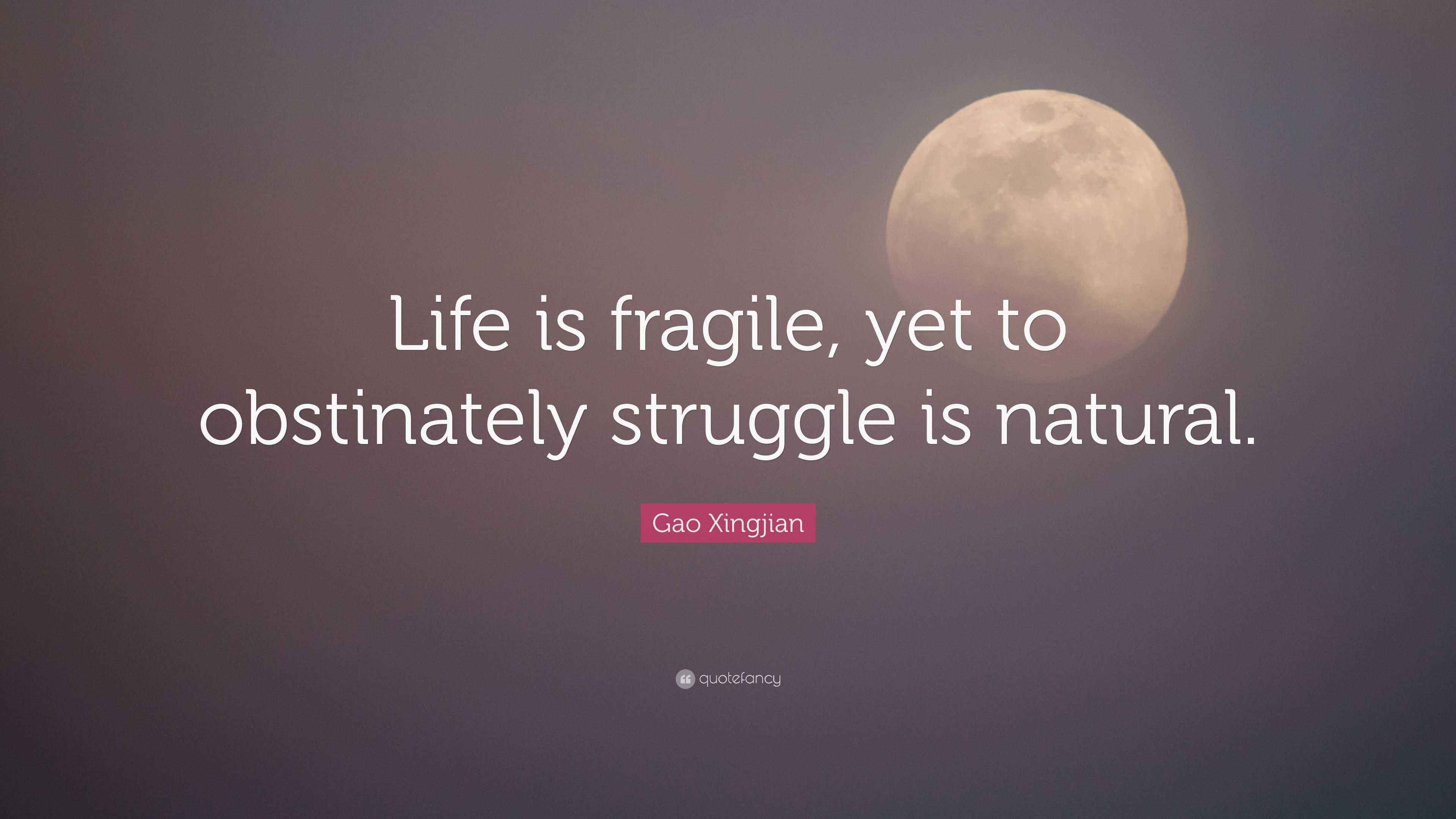 Gao Xingjian Quote: “Life is fragile, yet to obstinately struggle is ...