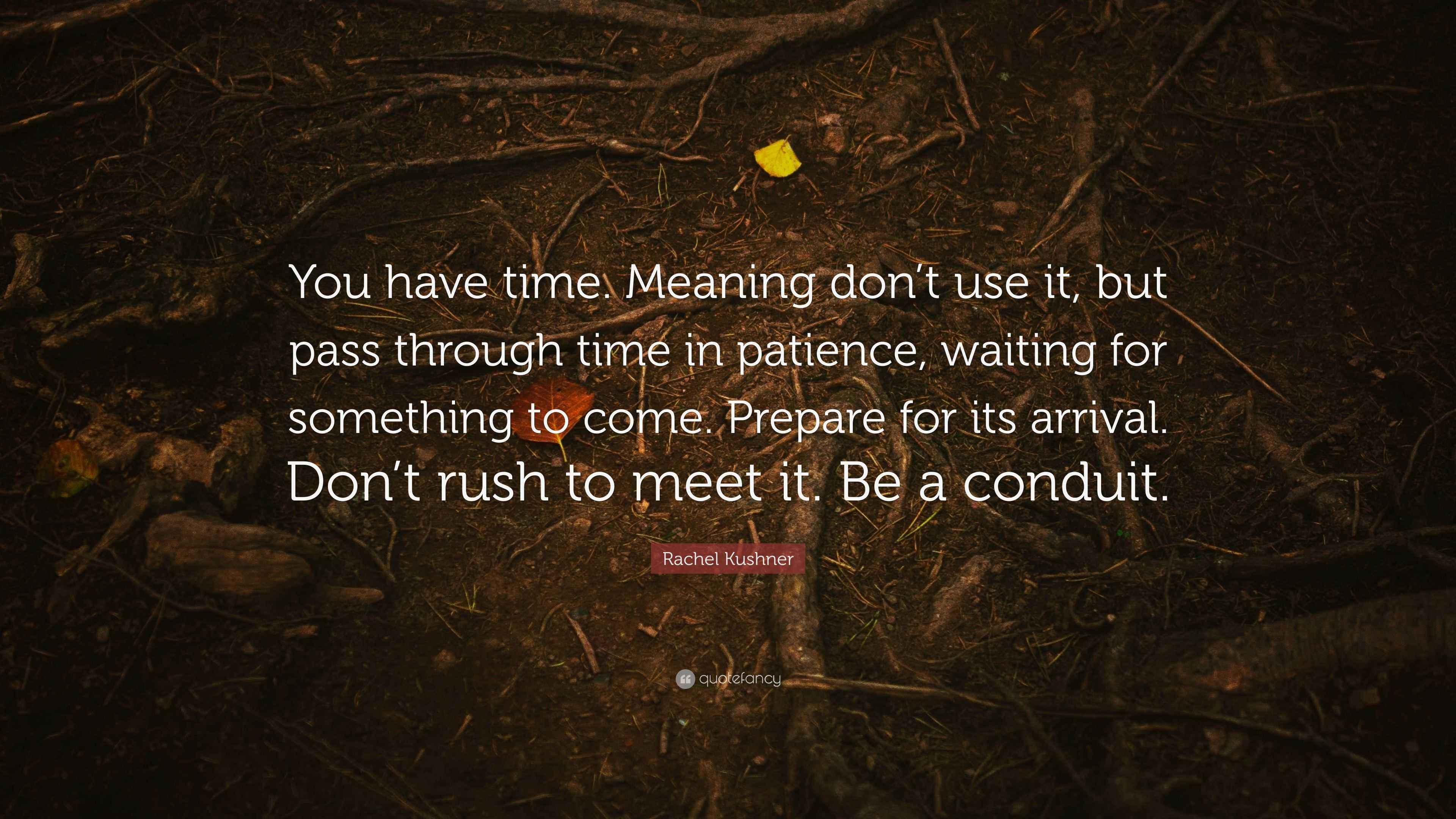 Rachel Kushner Quote: “You have time. Meaning don’t use it, but pass ...