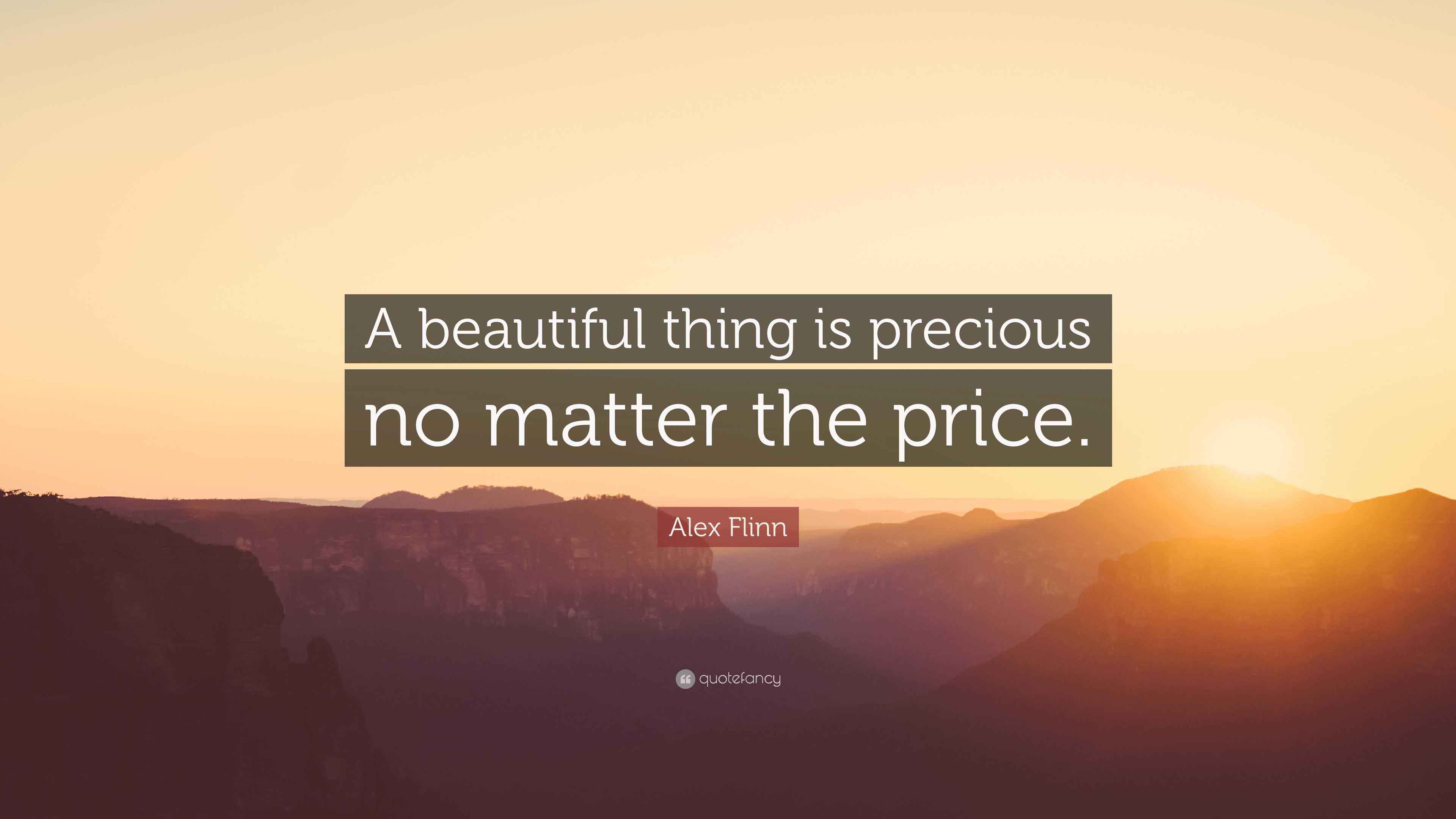 Alex Flinn Quote: “A beautiful thing is precious no matter the price.”