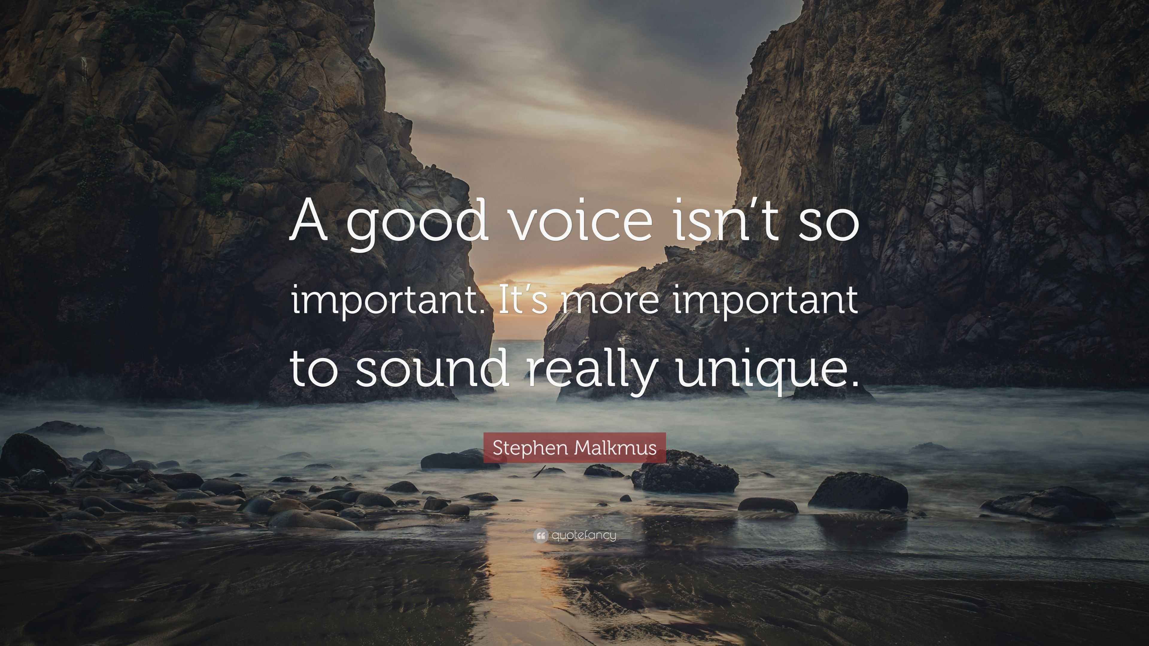 Stephen Malkmus Quote: “A good voice isn’t so important. It’s more ...
