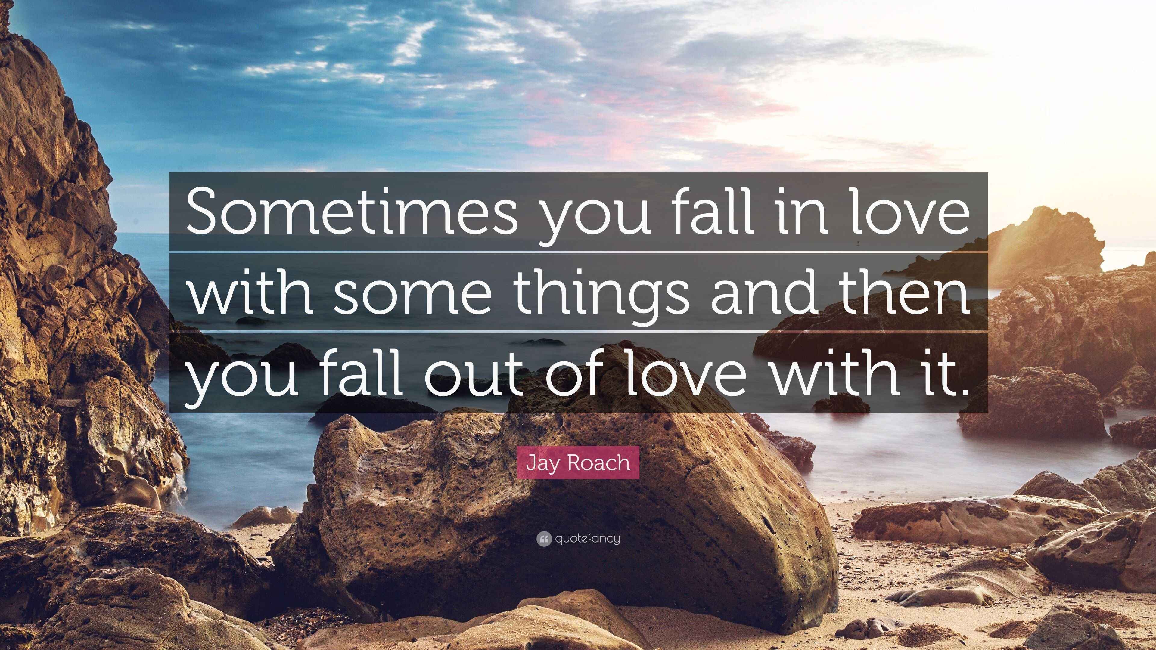 Jay Roach Quote: “Sometimes you fall in love with some things and then ...