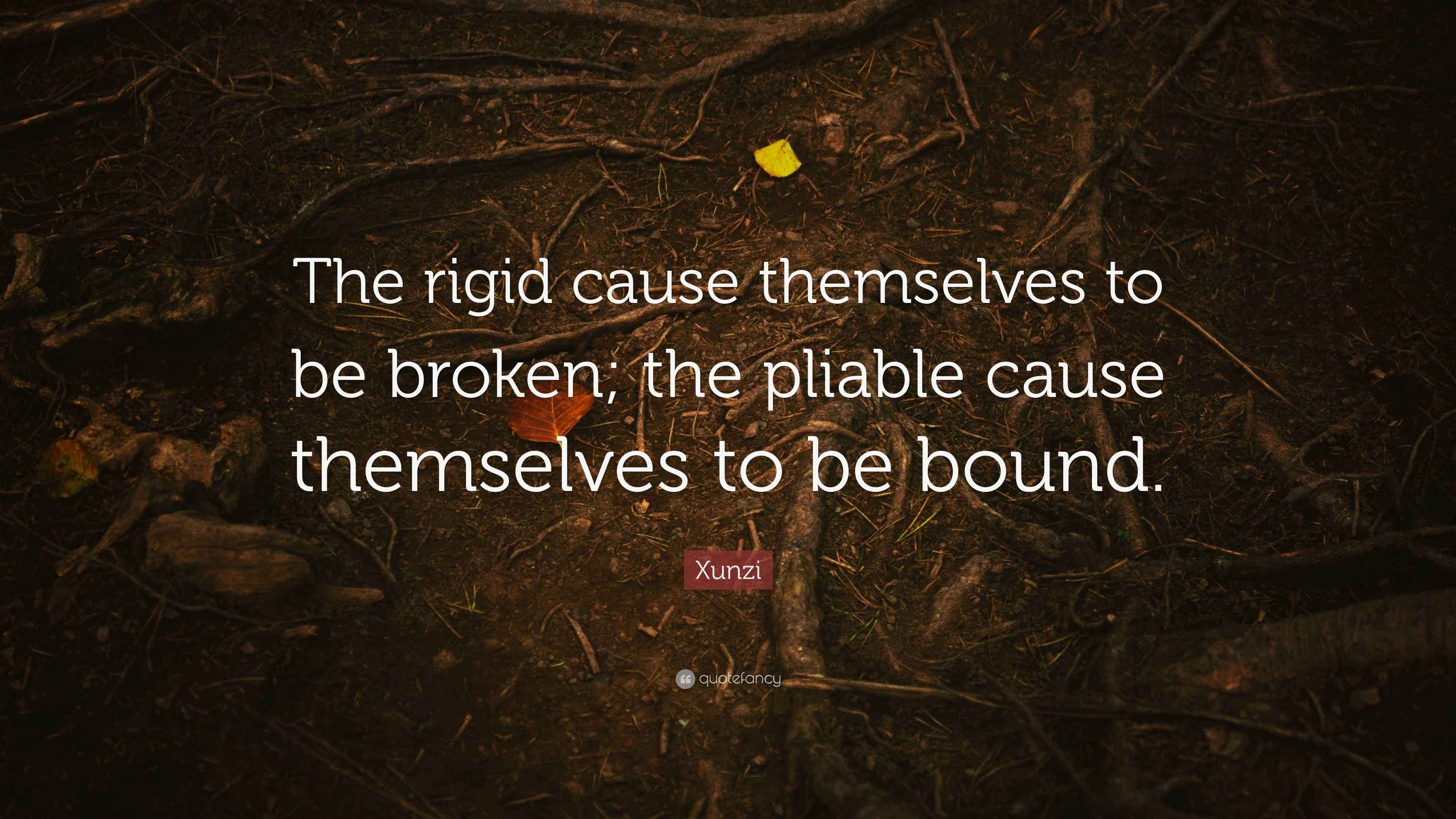 Xunzi Quote: “The rigid cause themselves to be broken; the pliable ...