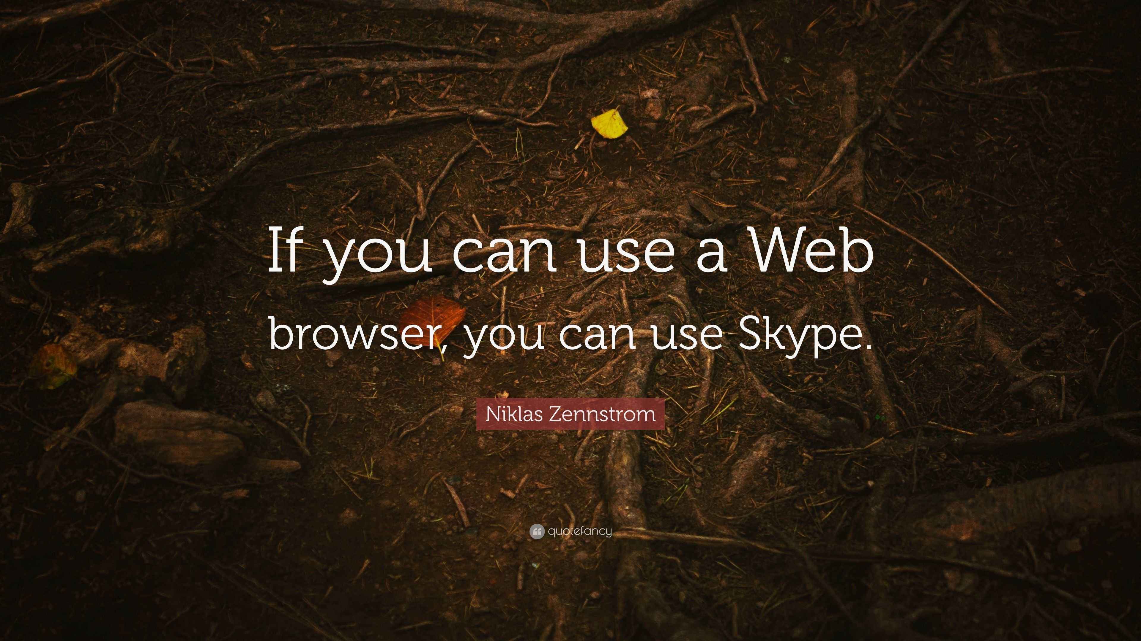 Niklas Zennstrom Quote: “If you can use a Web browser, you can use Skype.”