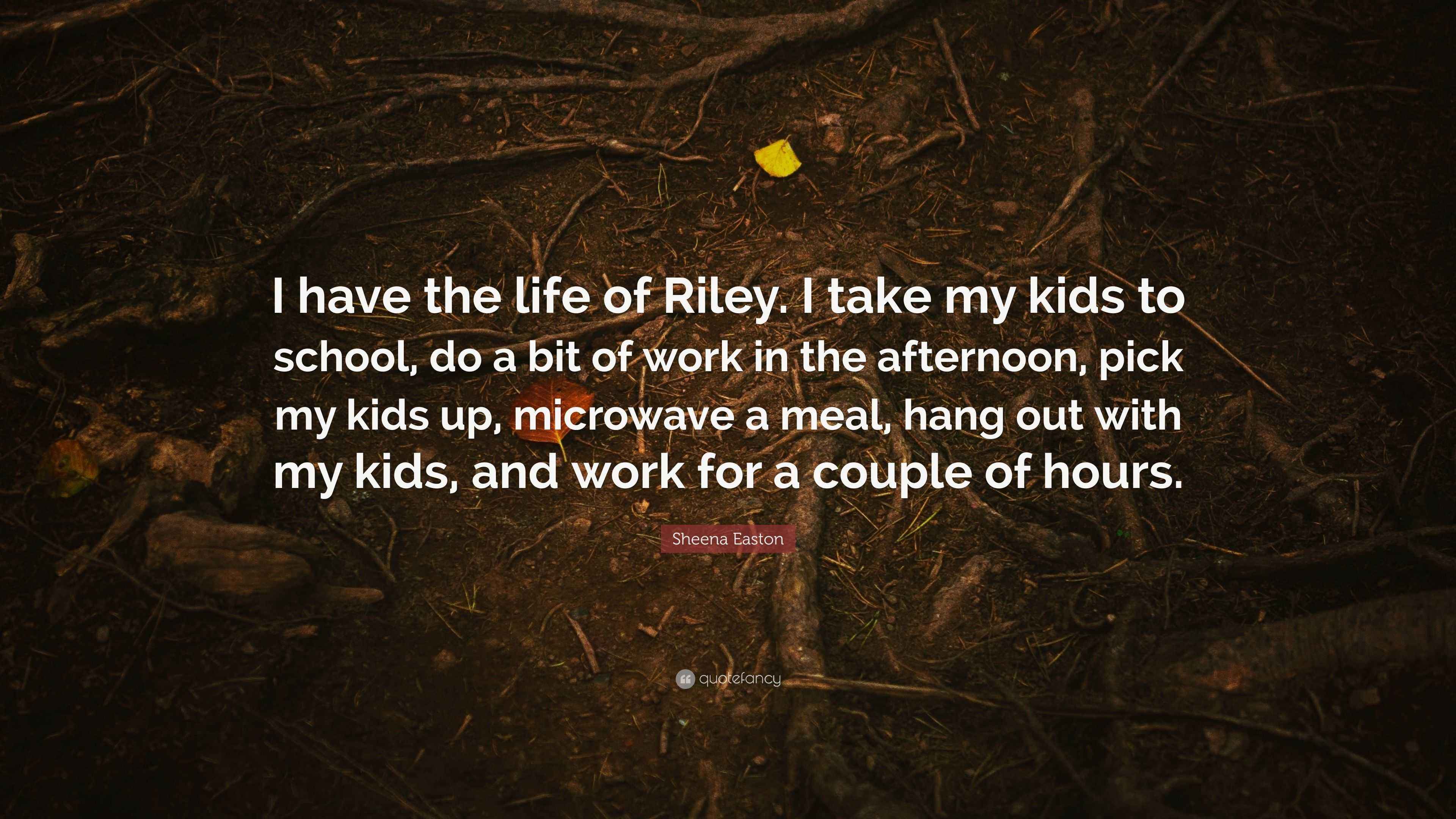 Sheena Easton Quote: “I have the life of Riley. I take my kids to ...