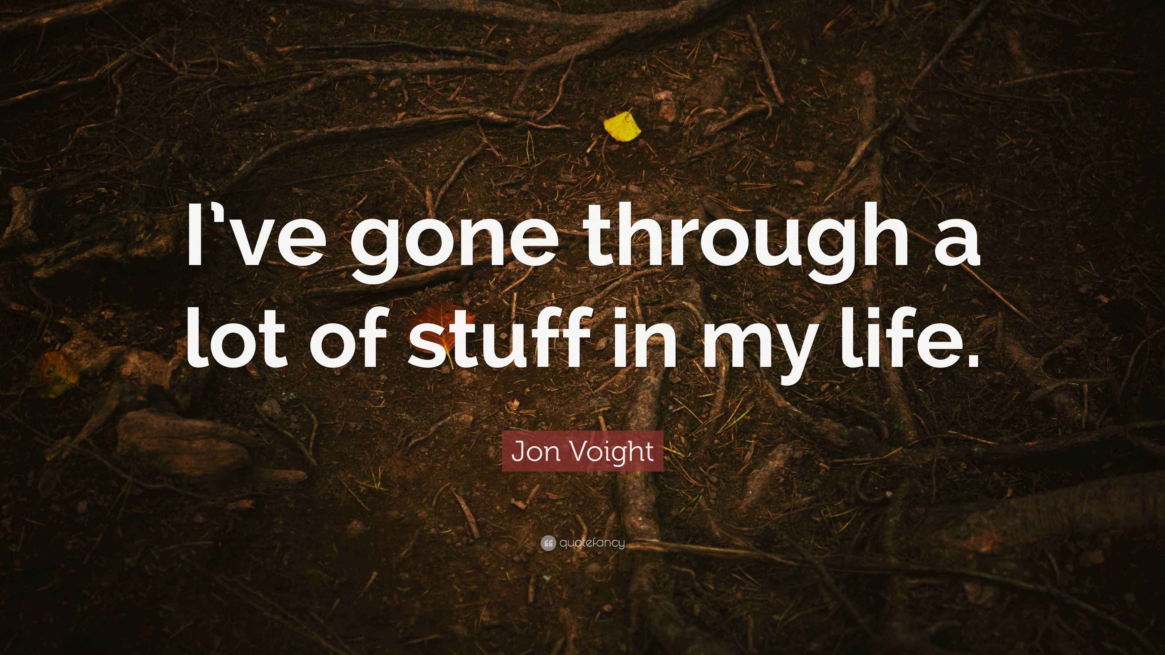 Jon Voight Quote: “I’ve gone through a lot of stuff in my life.”
