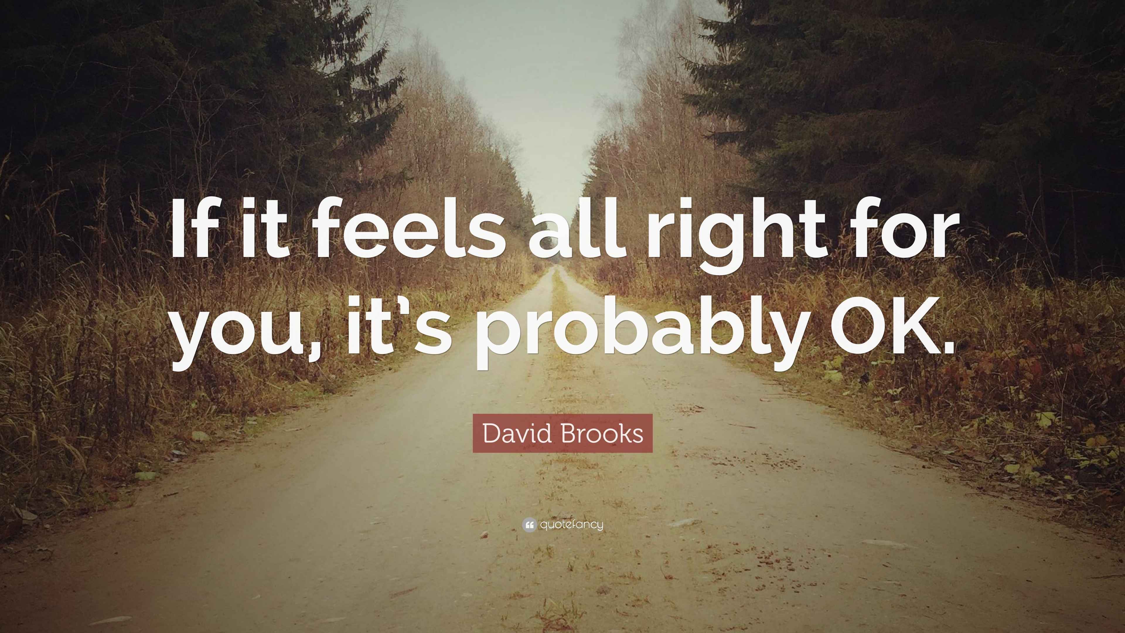 David Brooks Quote: “If it feels all right for you, it’s probably OK.”