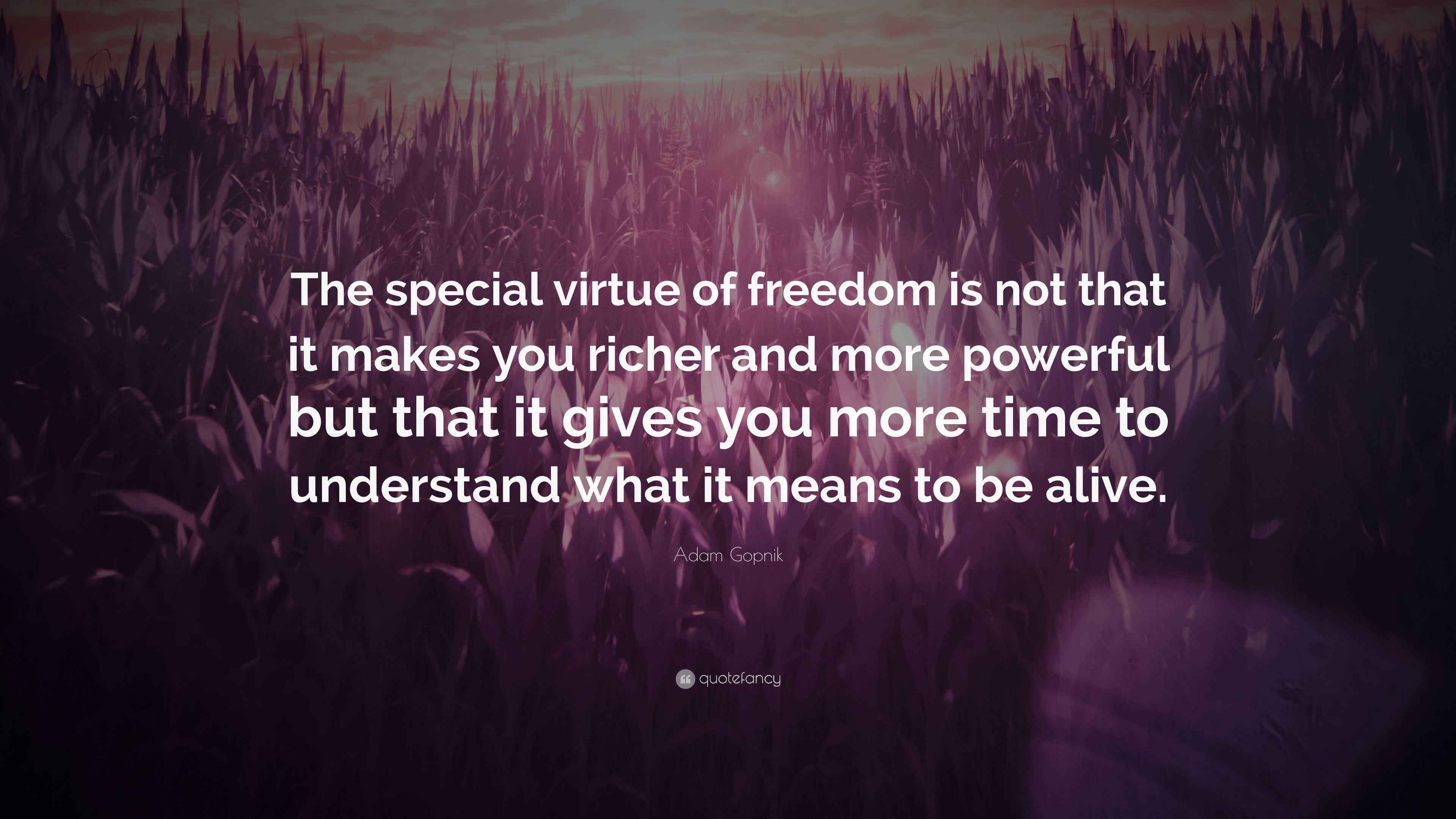 Adam Gopnik Quote: “The special virtue of freedom is not that it makes ...