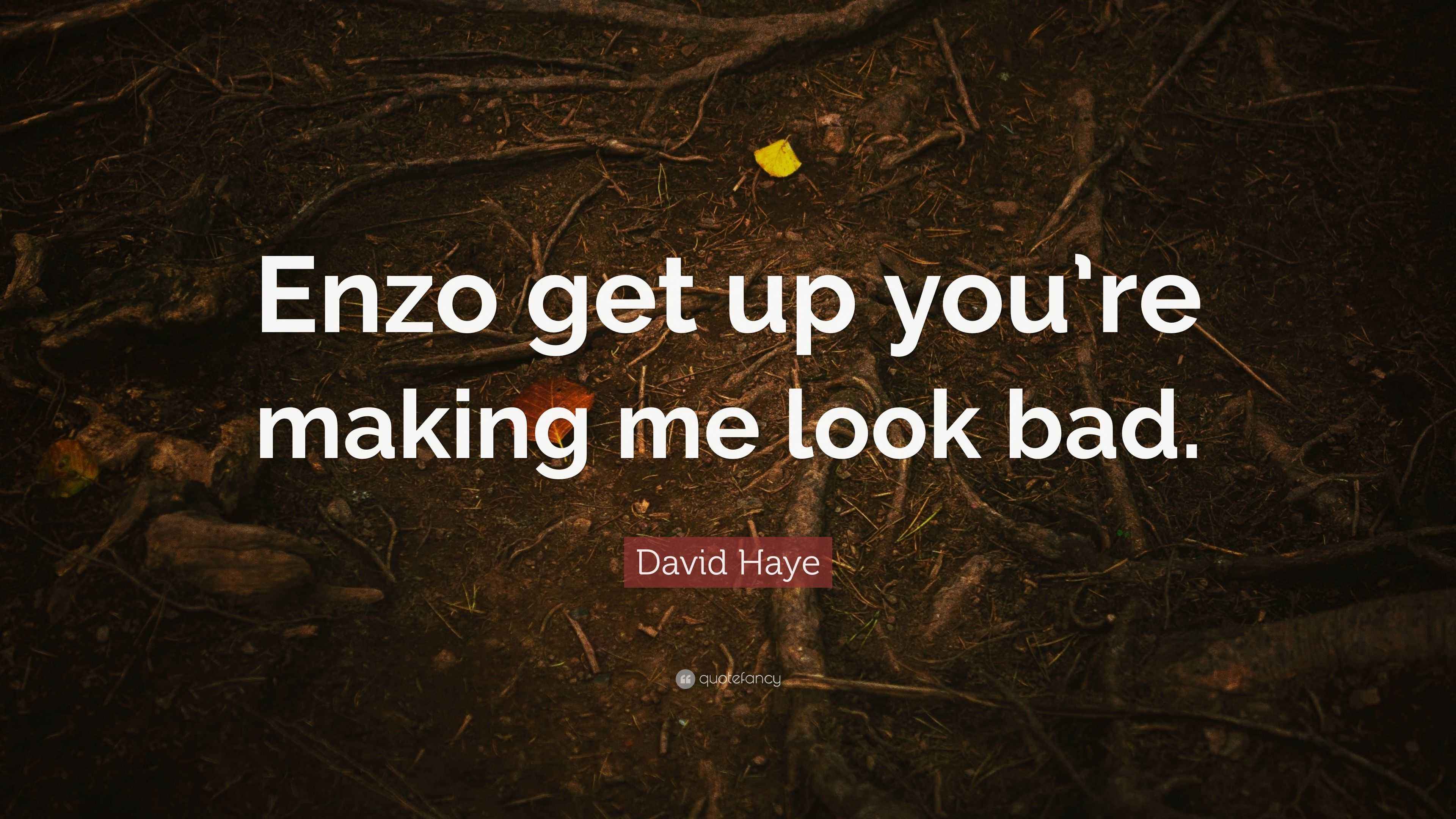 David Haye Quote: “Enzo get up you’re making me look bad.”