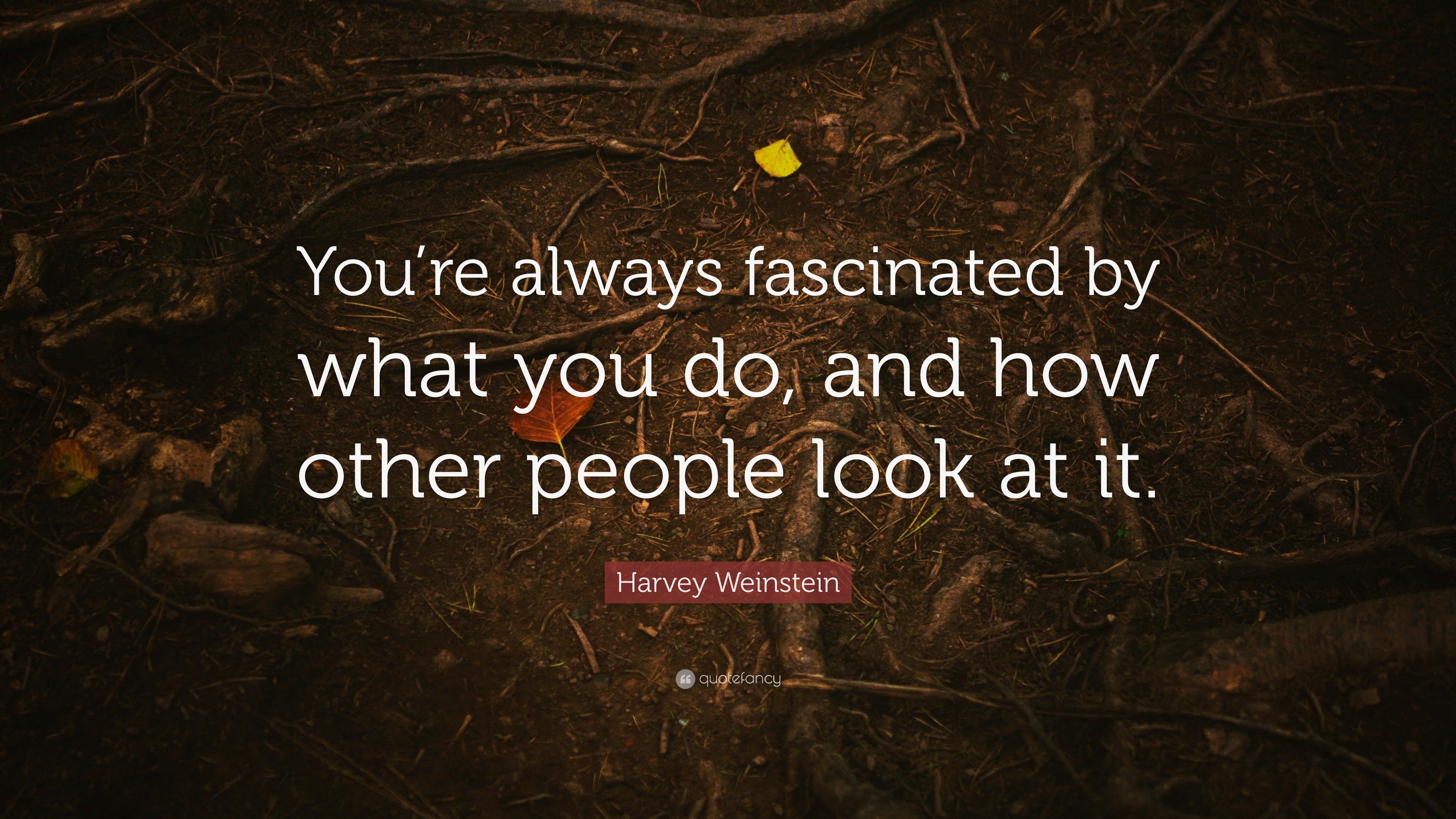 Harvey Weinstein Quote: “You’re always fascinated by what you do, and ...