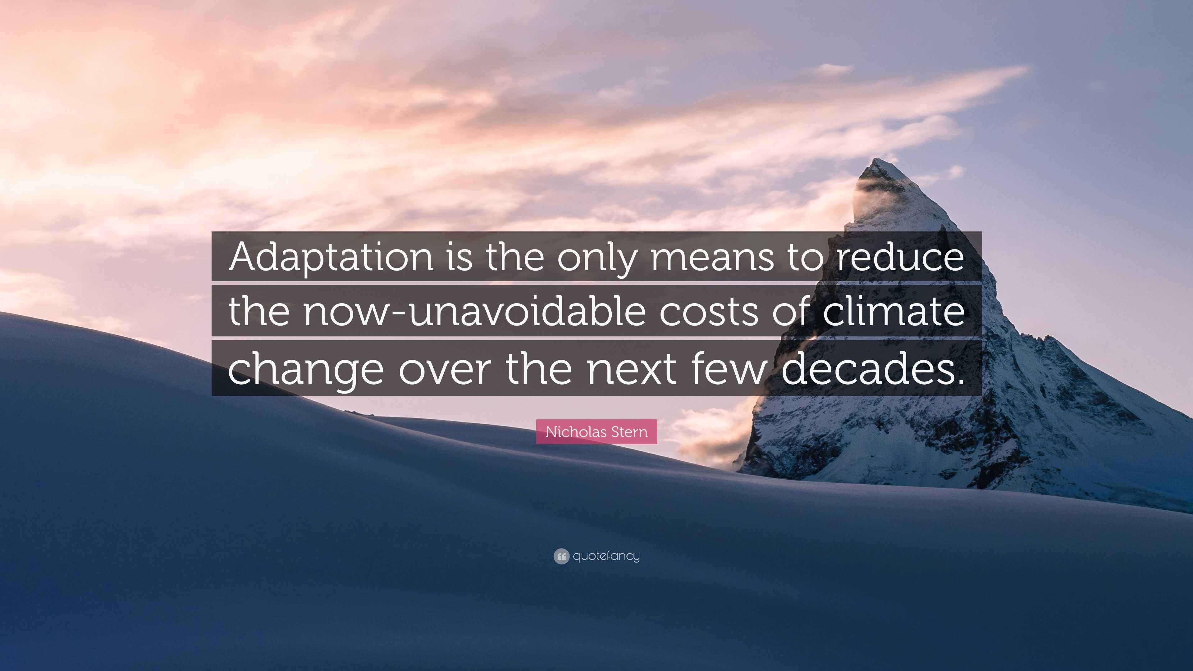 Nicholas Stern Quote: “Adaptation is the only means to reduce the now ...