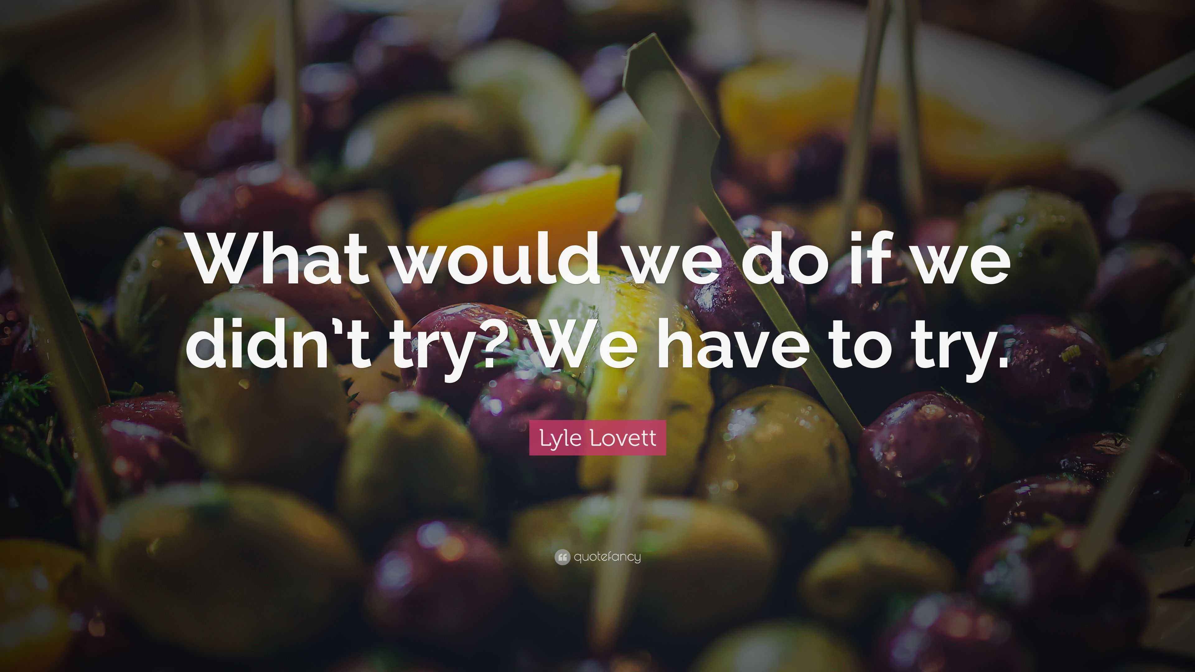 Lyle Lovett Quote: “What would we do if we didn’t try? We have to try.”