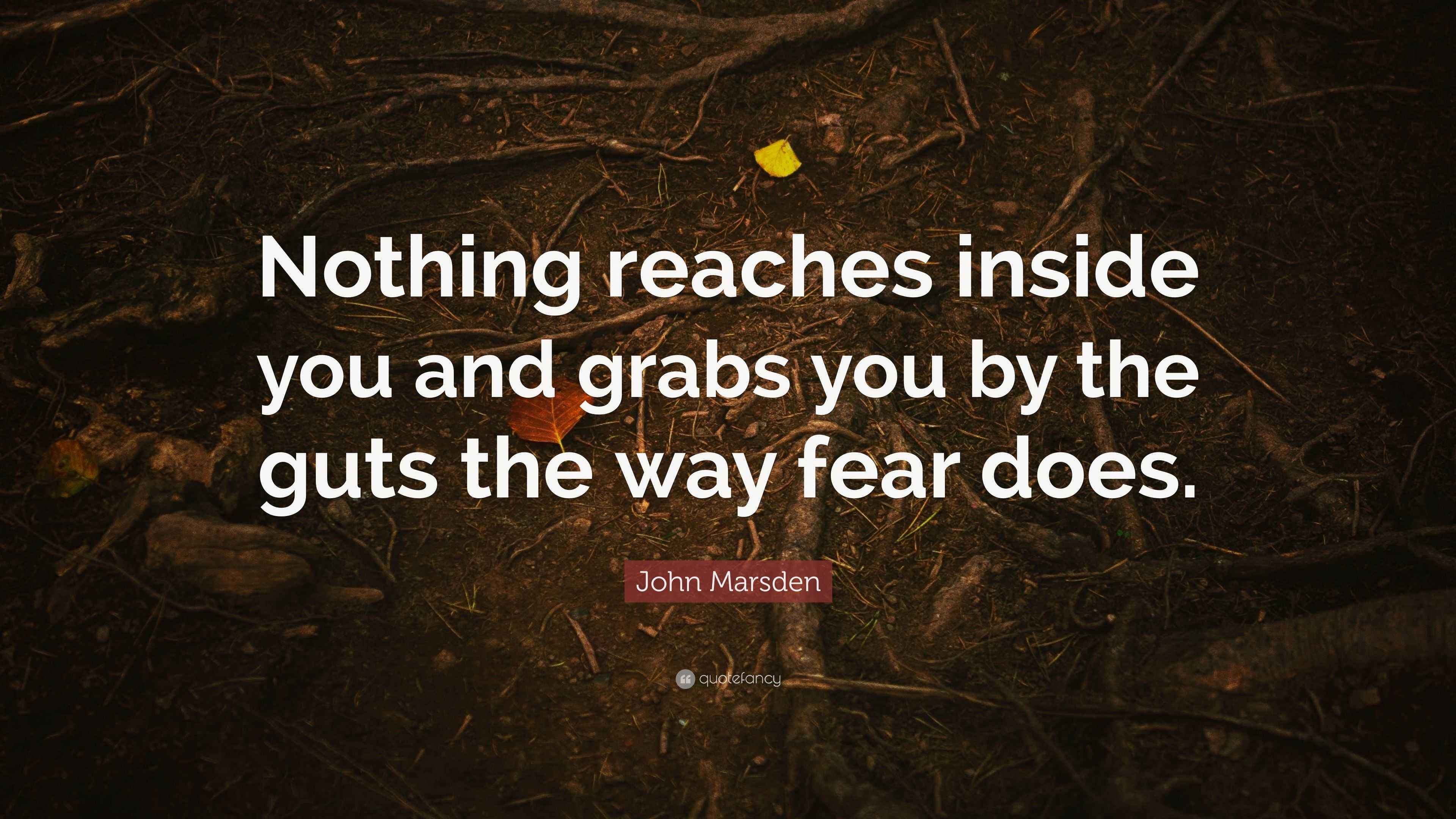 John Marsden Quote: “Nothing reaches inside you and grabs you by the ...