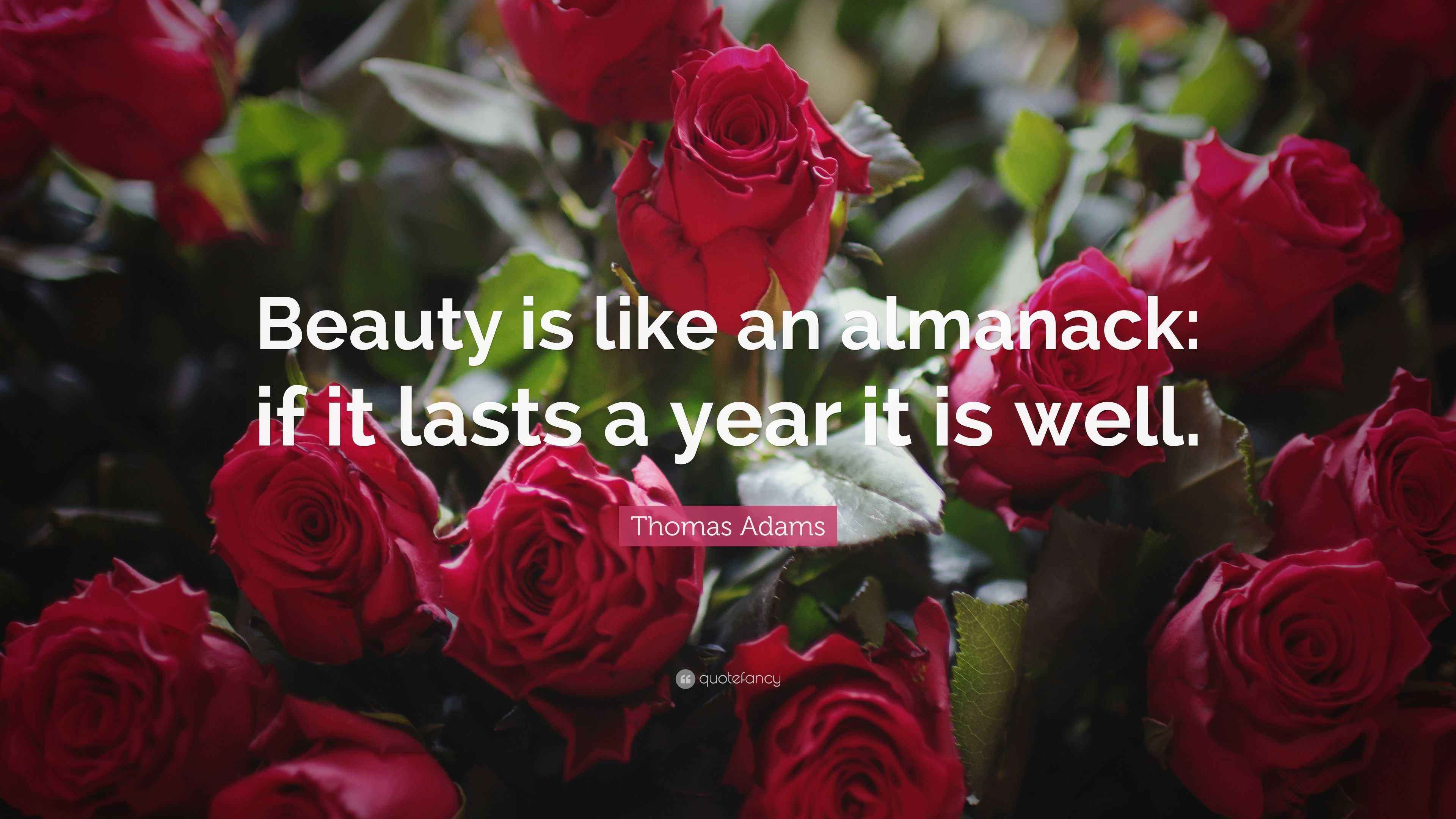 Thomas Adams Quote: “Beauty is like an almanack: if it lasts a year it ...