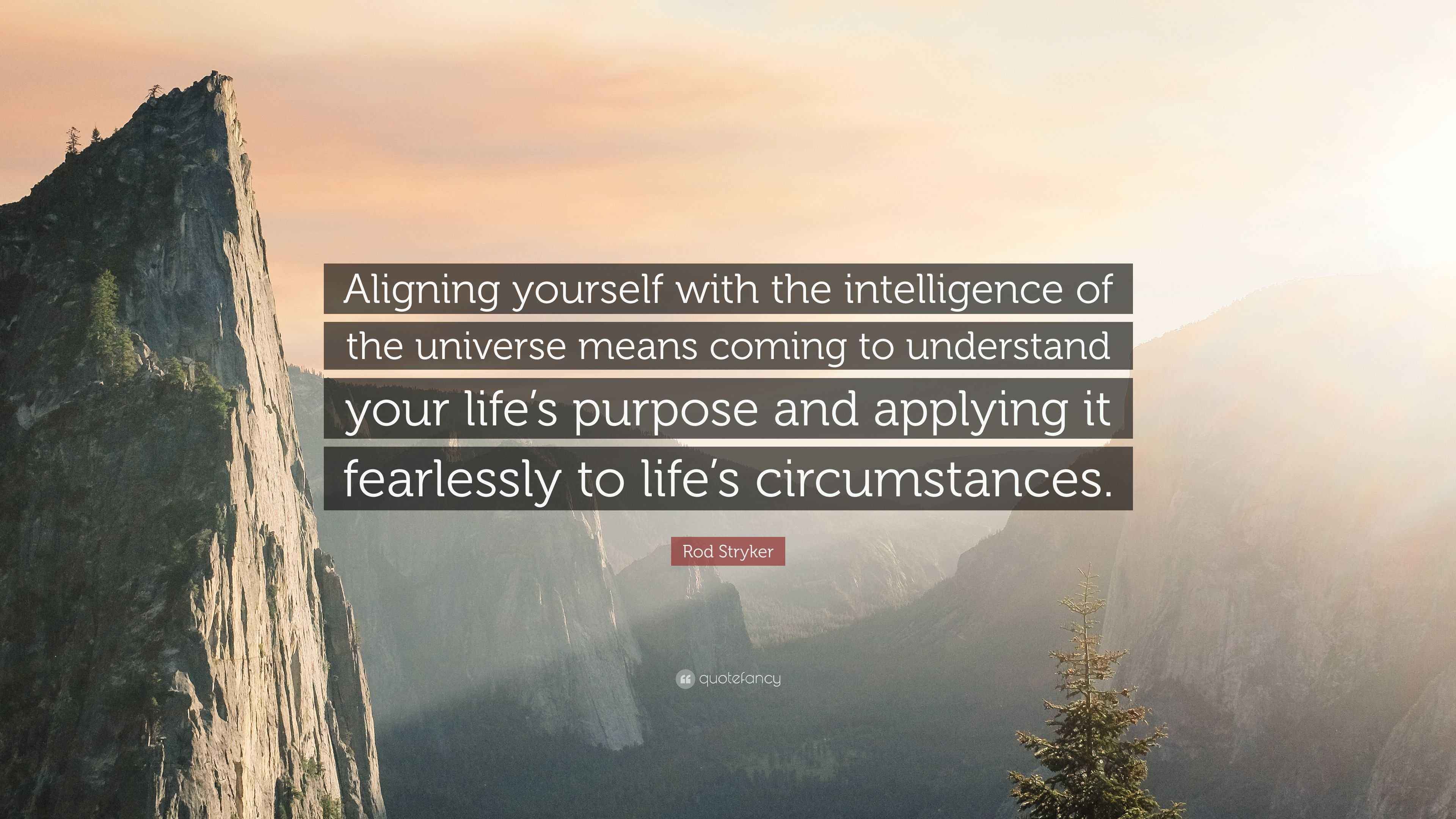 Rod Stryker Quote: “Aligning yourself with the intelligence of the ...