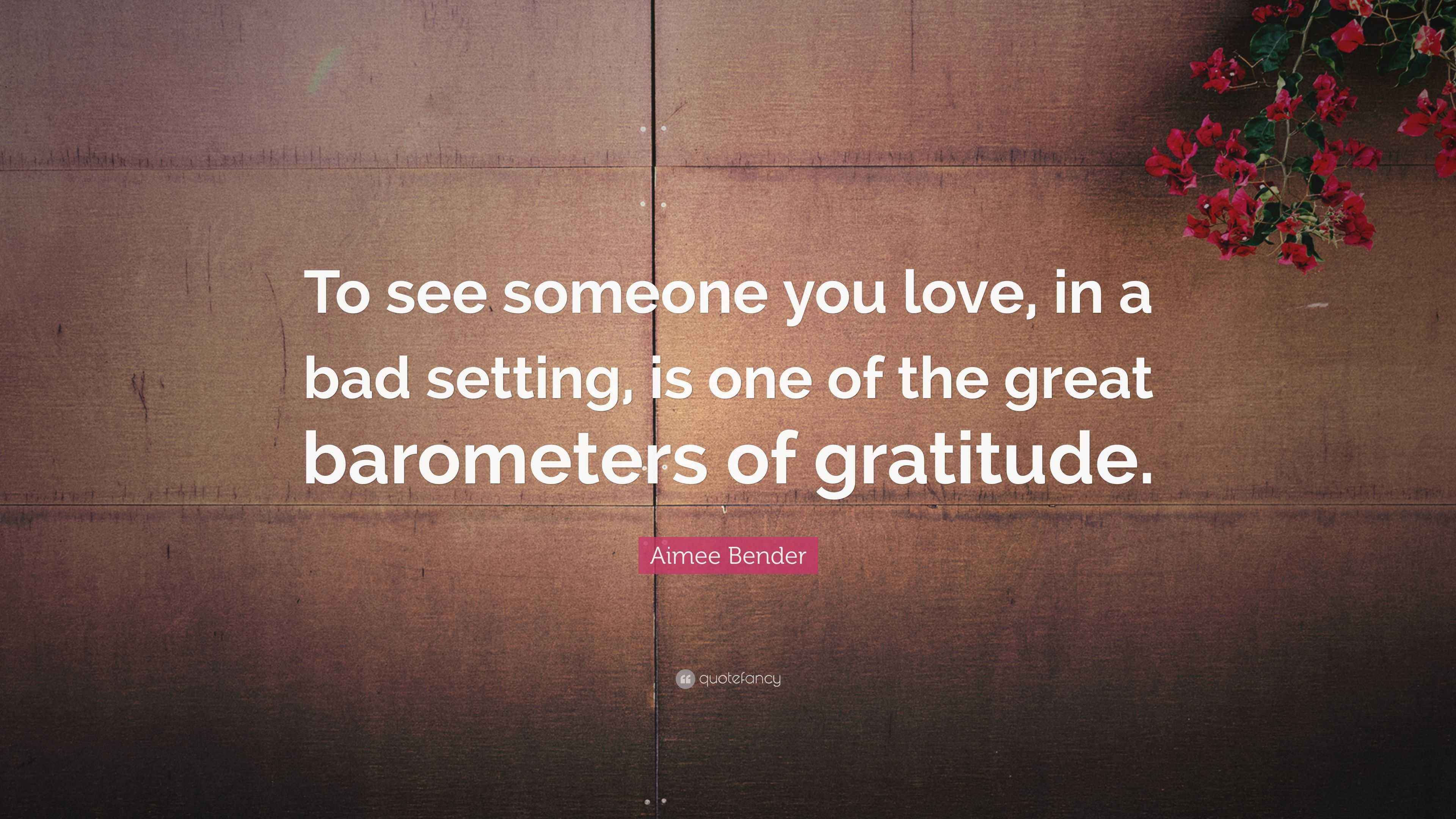 Aimee Bender Quote: “To see someone you love, in a bad setting, is one ...