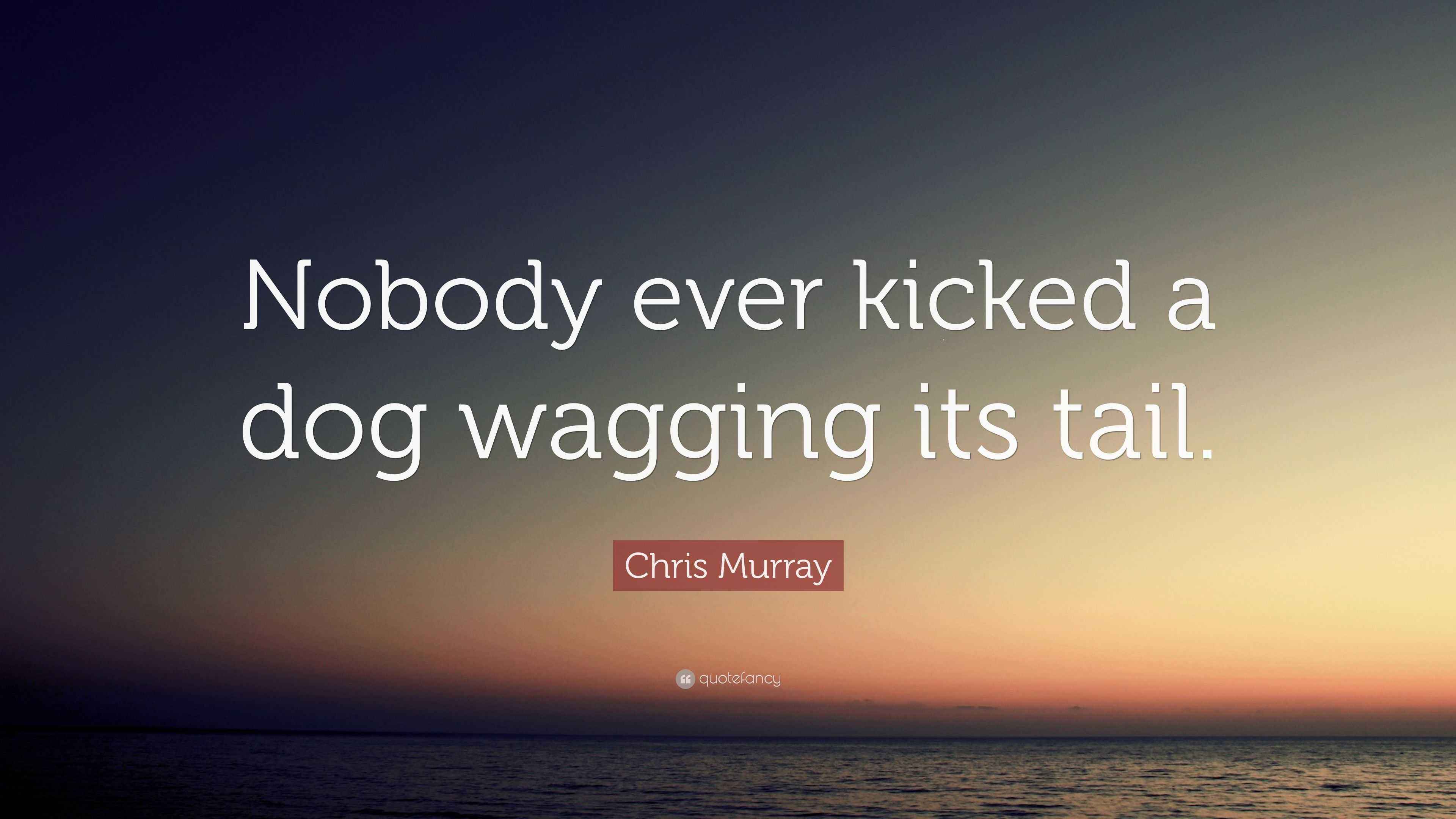 Chris Murray Quote: “Nobody ever kicked a dog wagging its tail.”