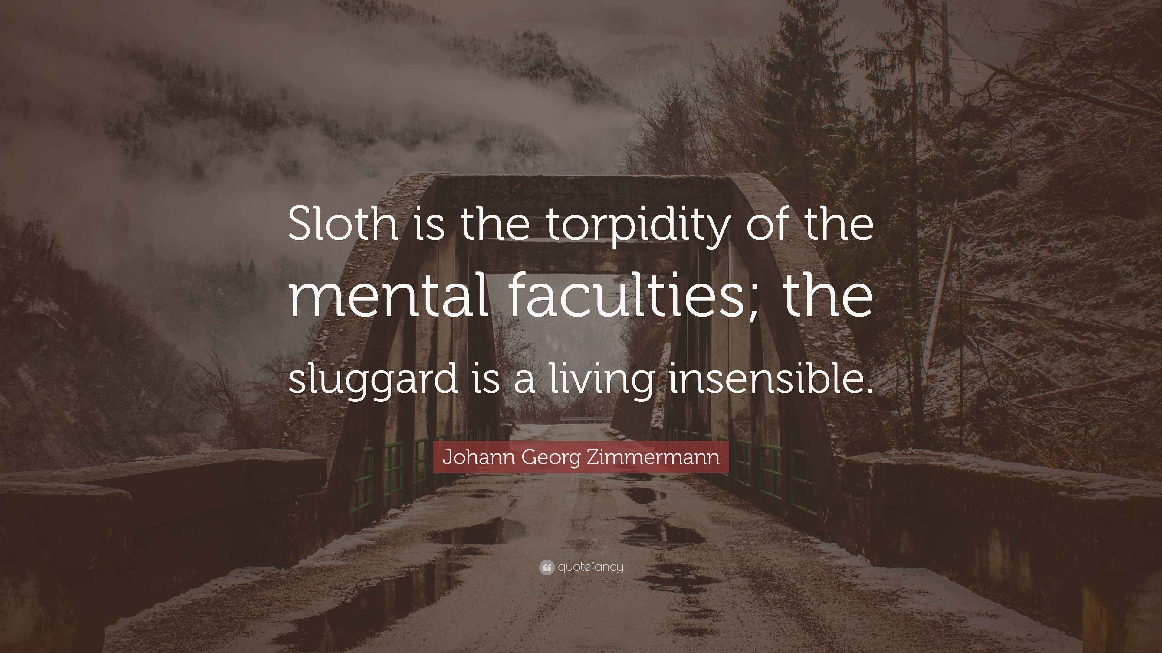 Johann Georg Zimmermann Quote: “Sloth is the torpidity of the mental ...