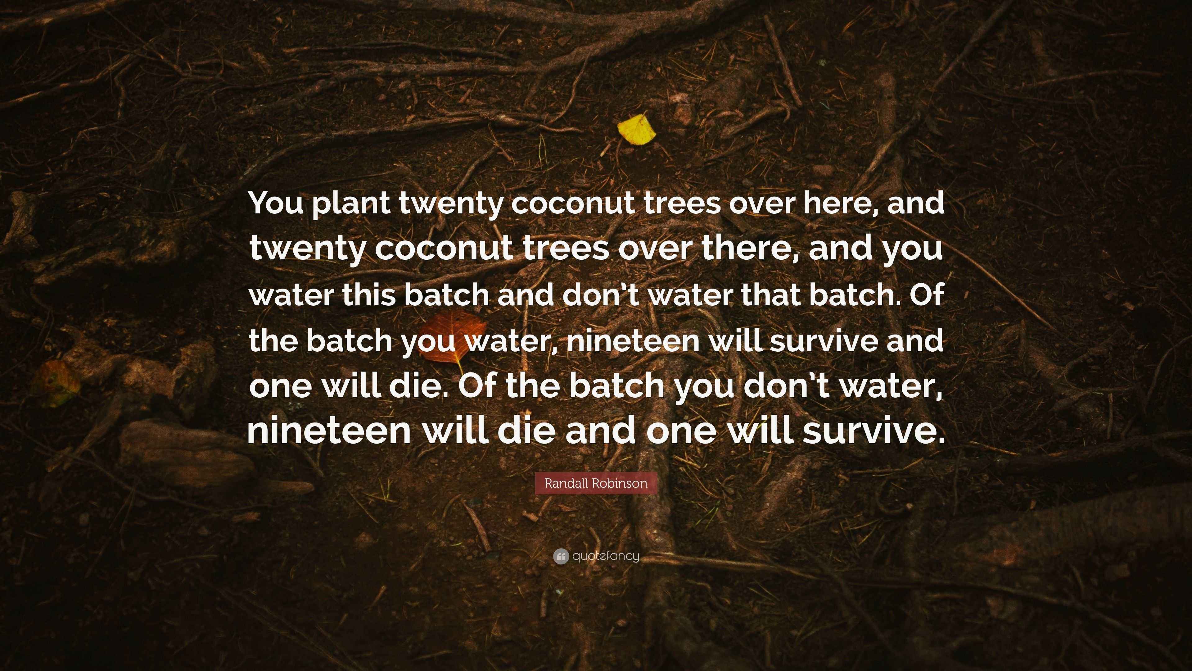 Randall Robinson Quote: “You plant twenty coconut trees over here, and ...