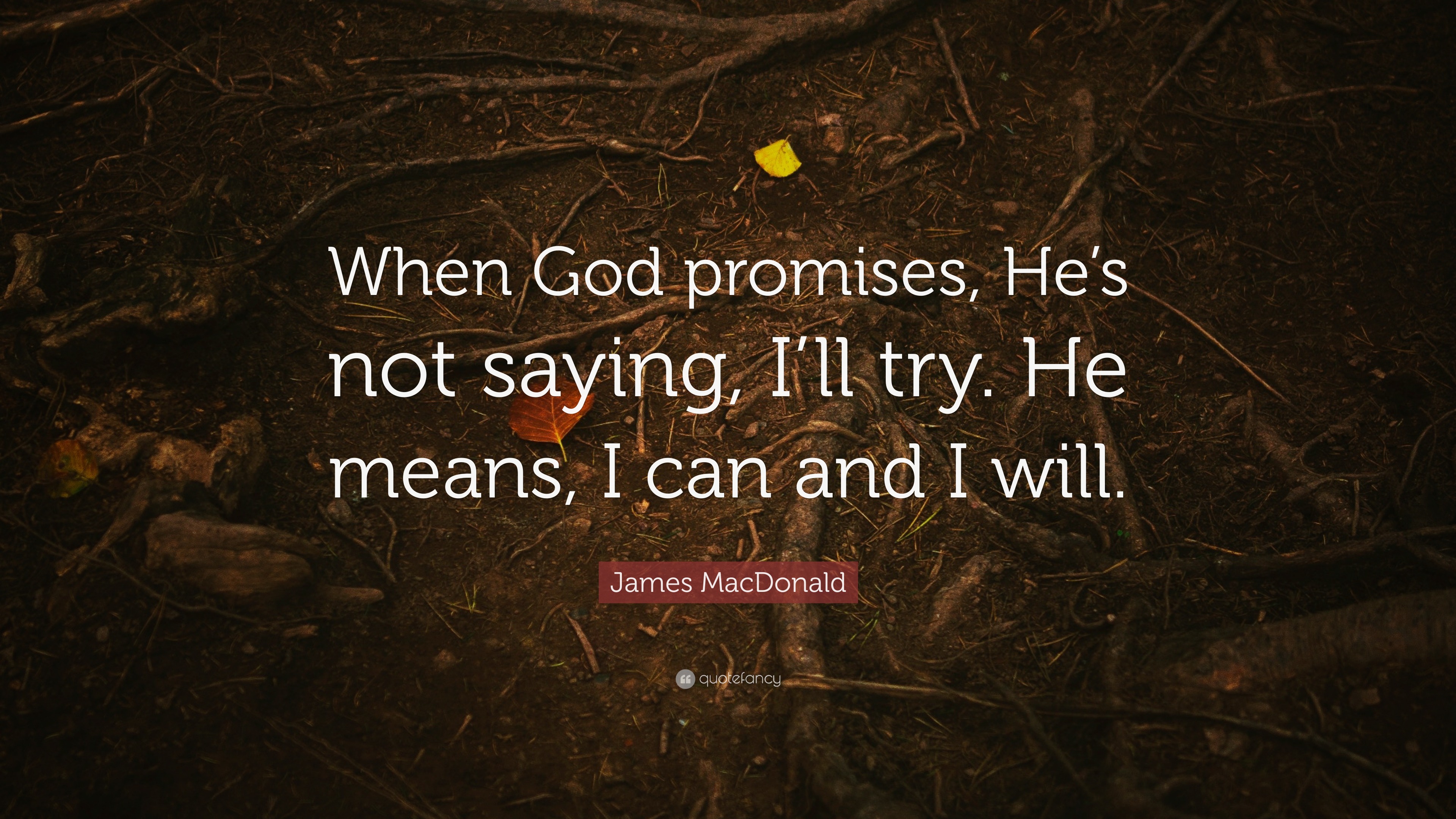 James MacDonald Quote: “When God promises, He’s not saying, I’ll try ...