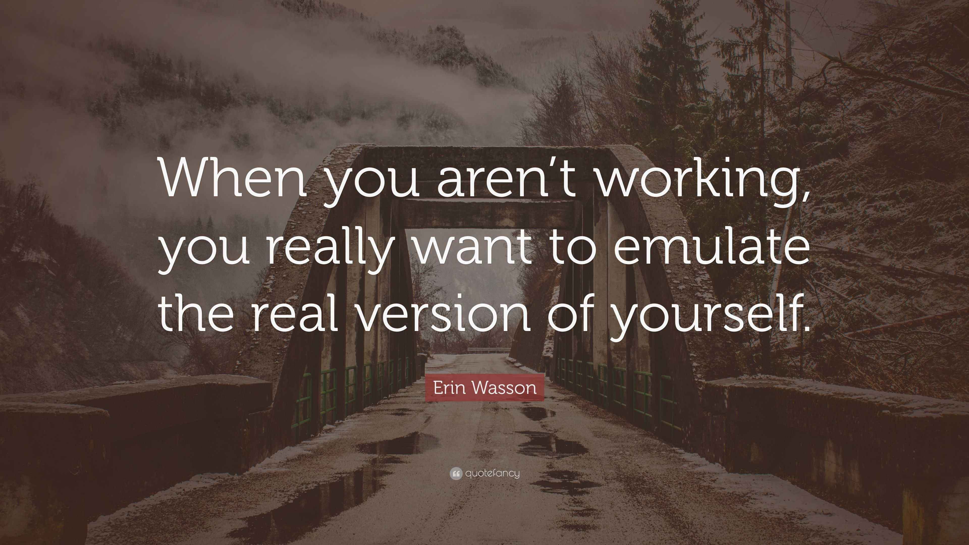Erin Wasson Quote: “When you aren’t working, you really want to emulate ...