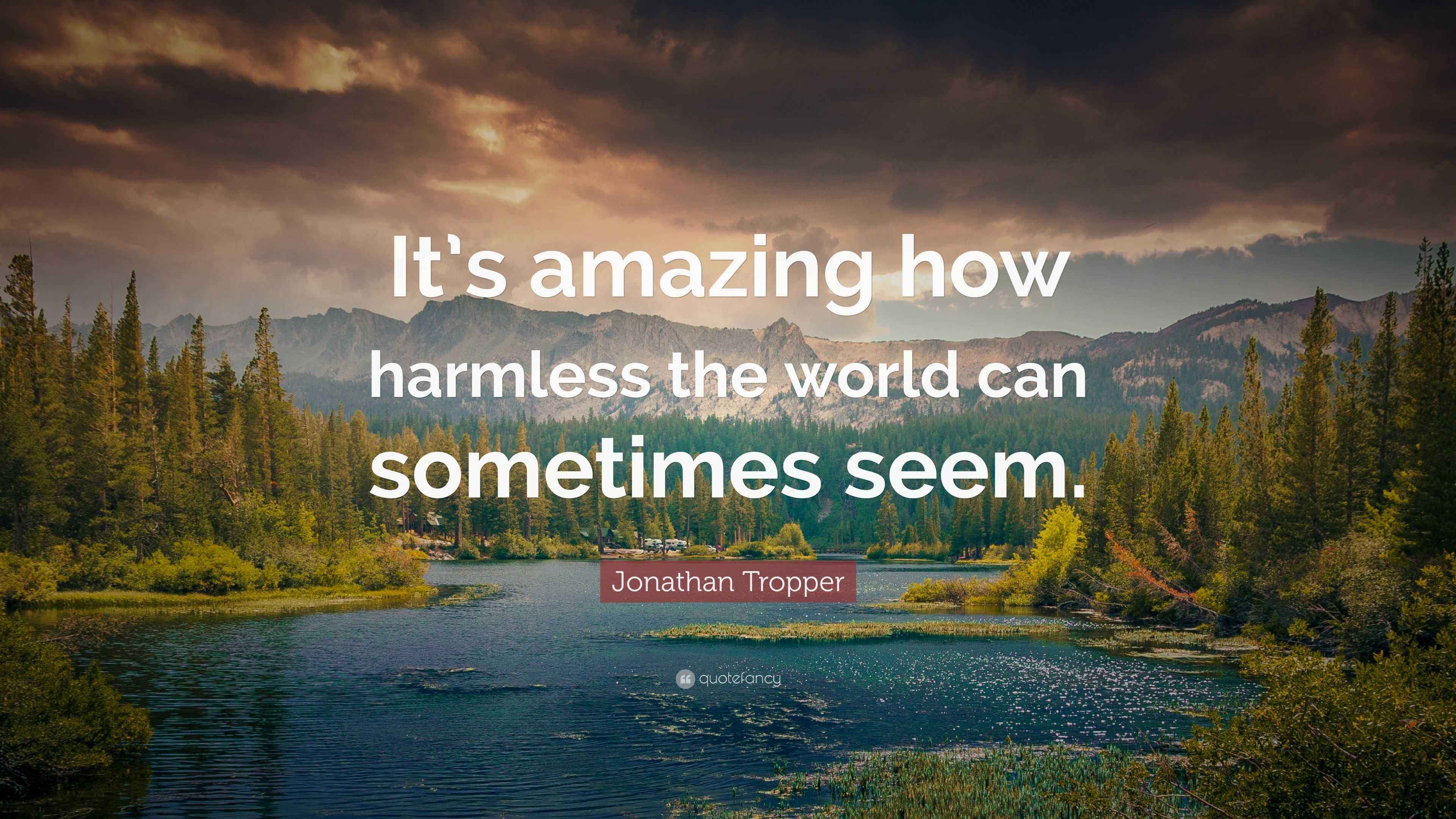 Jonathan Tropper Quote: “It’s amazing how harmless the world can ...