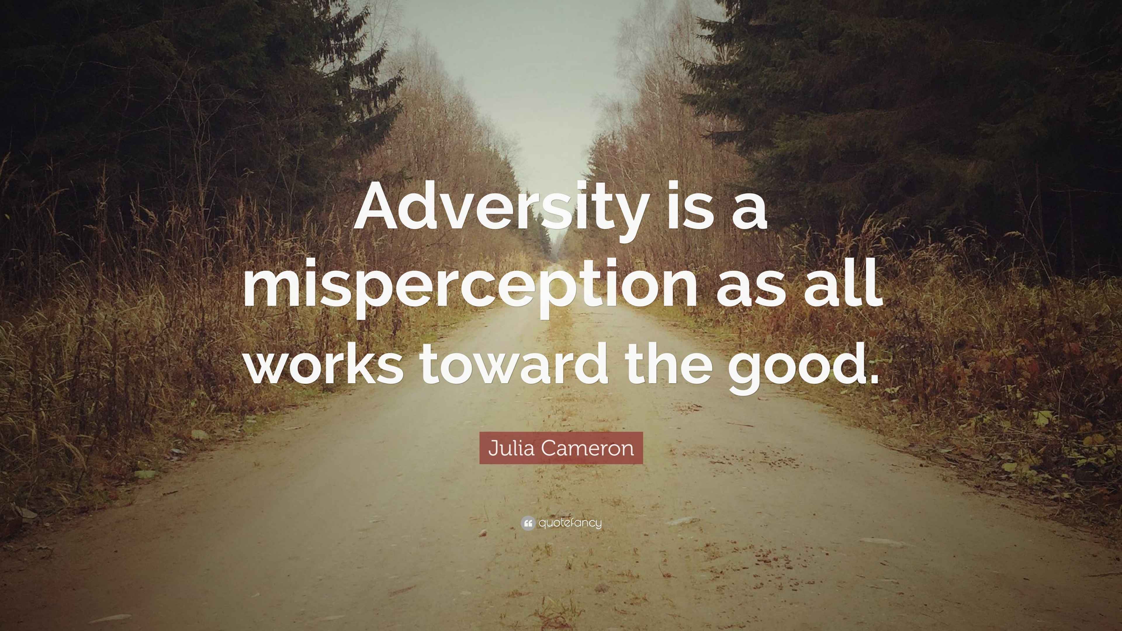 Misperception Quotes