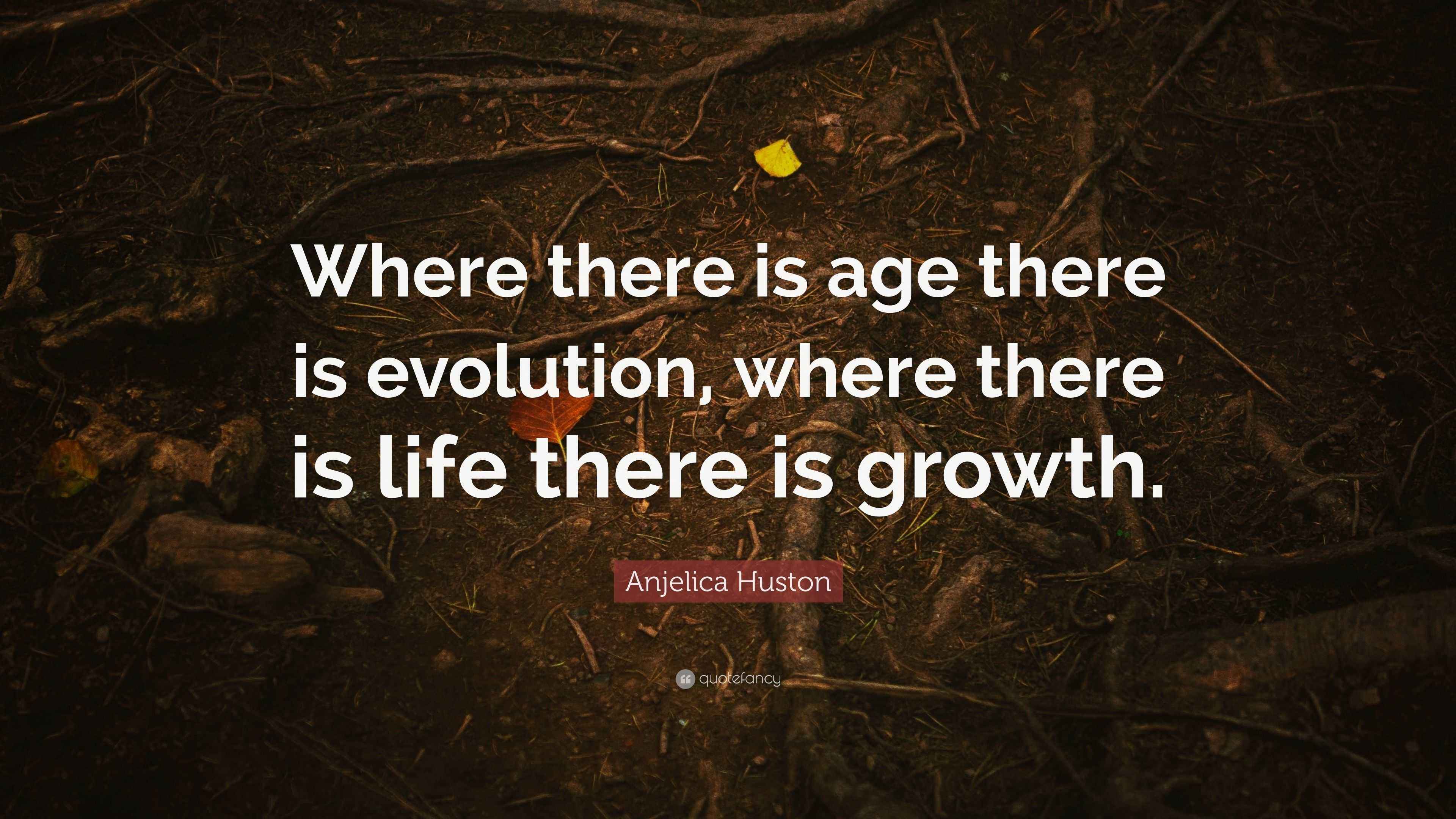 Anjelica Huston Quote: “Where there is age there is evolution, where ...