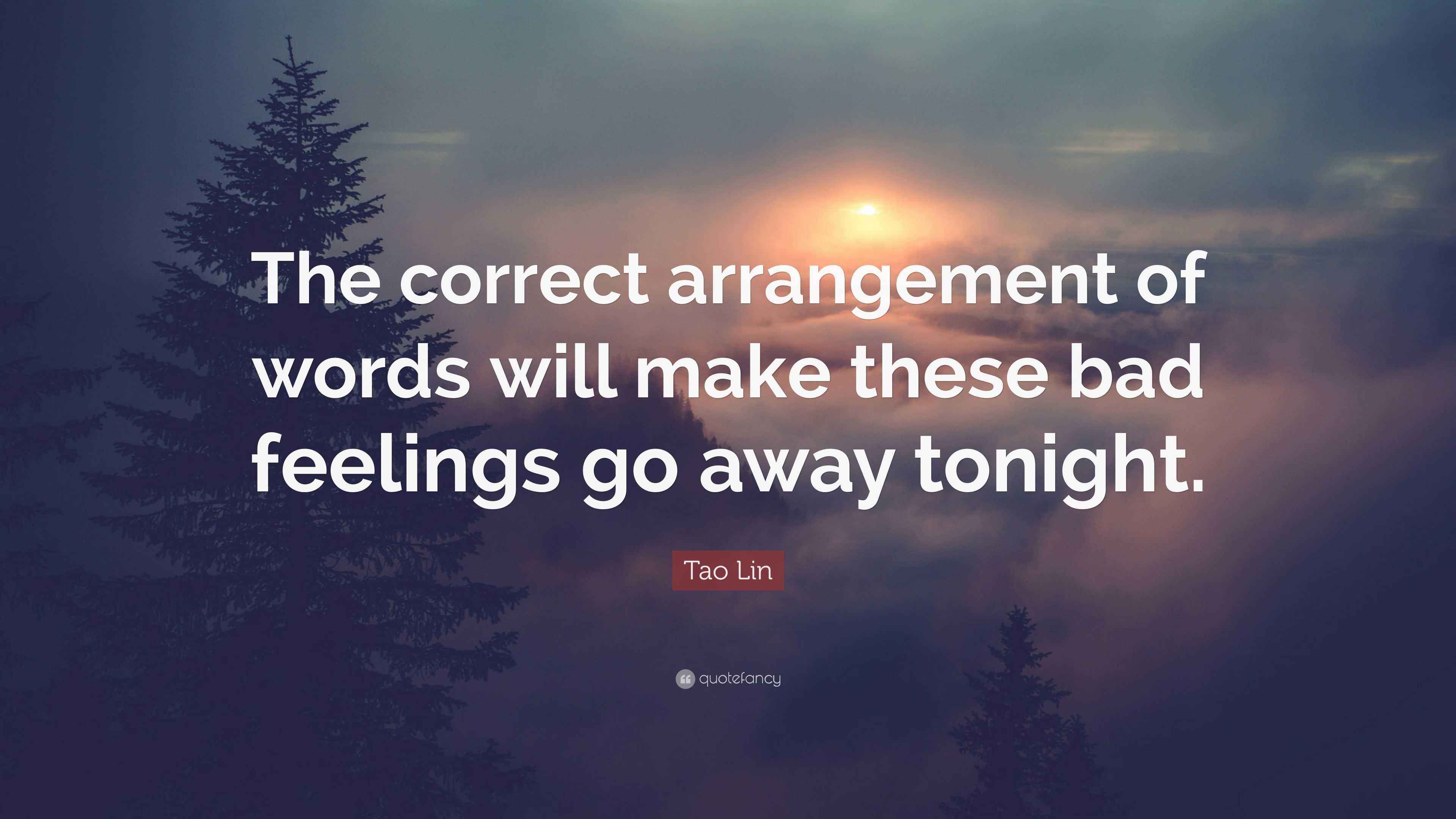 Tao Lin Quote: “The correct arrangement of words will make these bad ...
