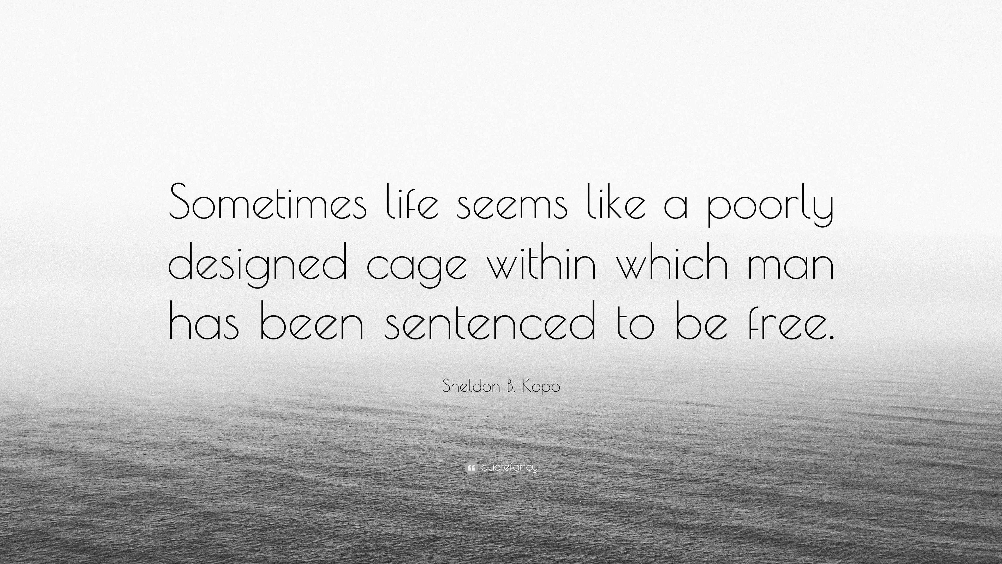 Sheldon B. Kopp Quote: “Sometimes life seems like a poorly designed ...