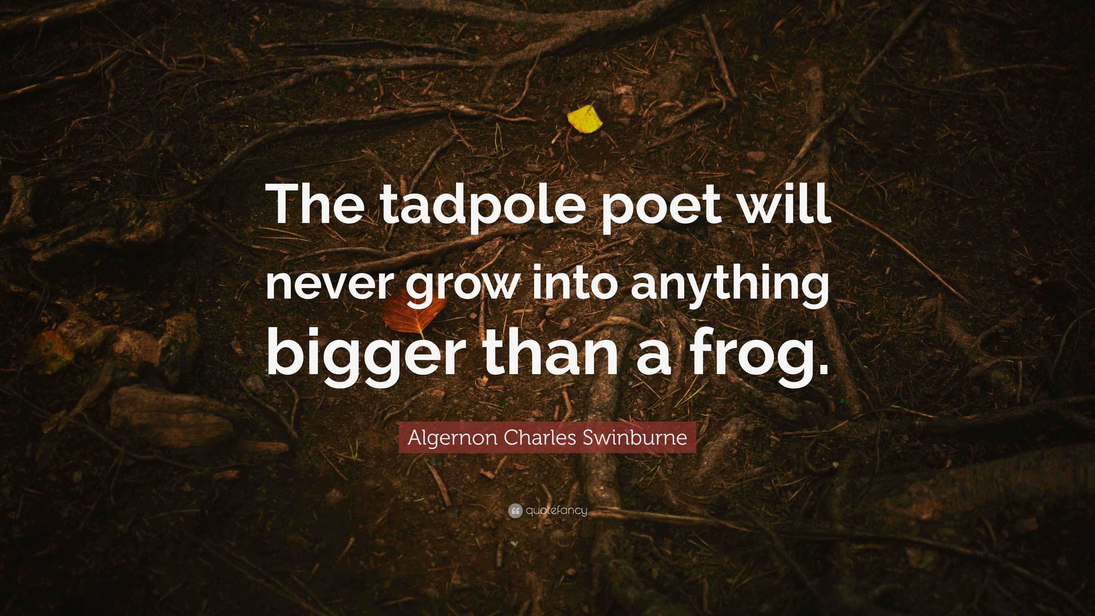Algernon Charles Swinburne Quote: “The tadpole poet will never grow ...