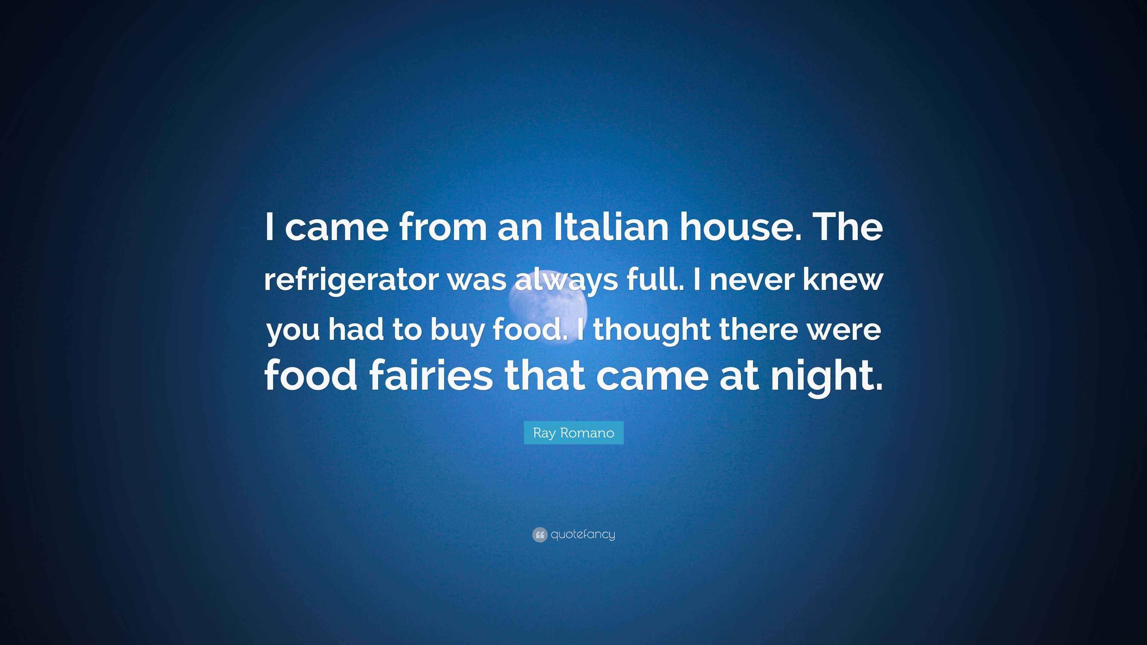 Ray Romano Quote: “I came from an Italian house. The refrigerator was ...