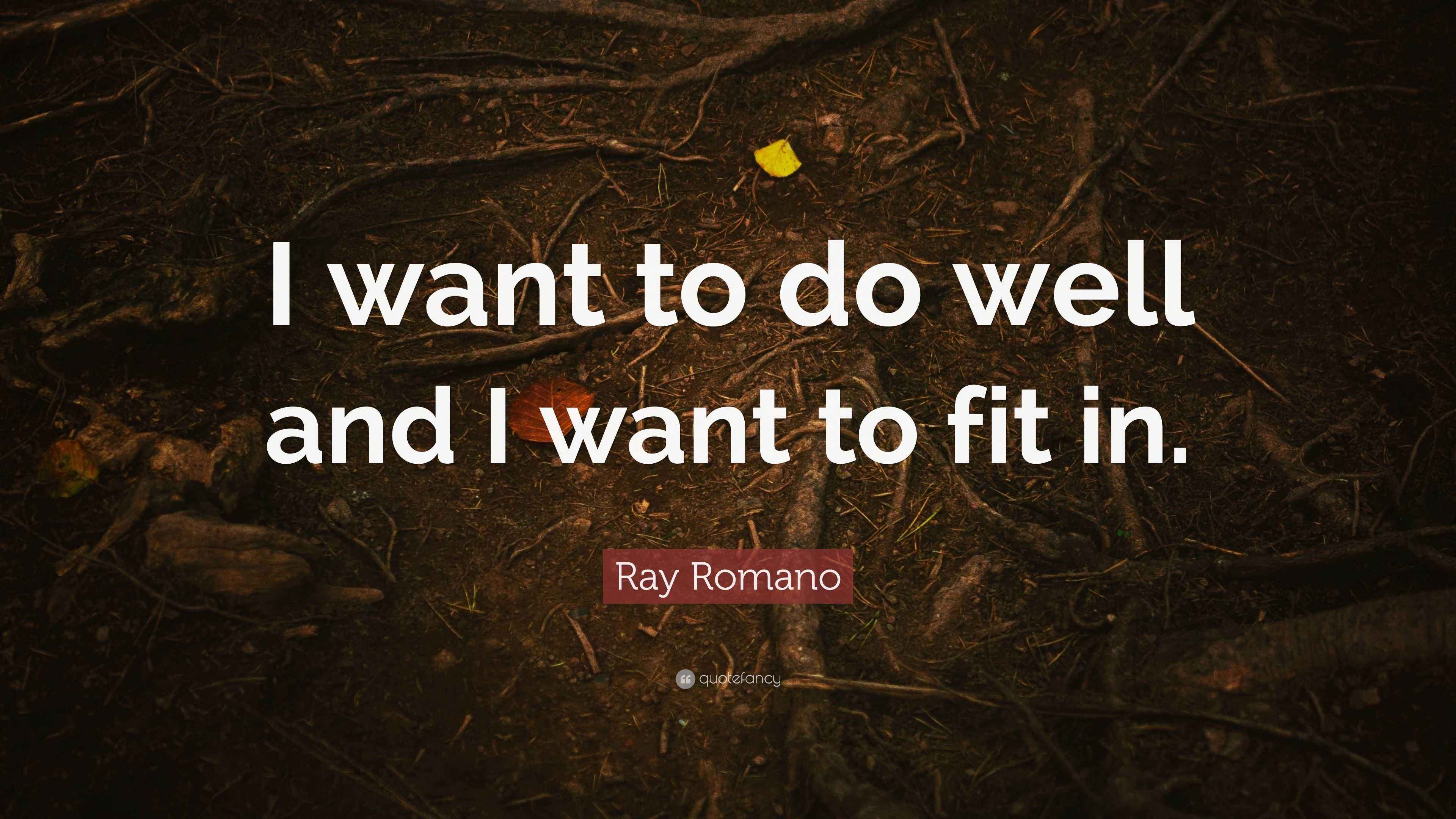 Ray Romano Quote: “I want to do well and I want to fit in.”