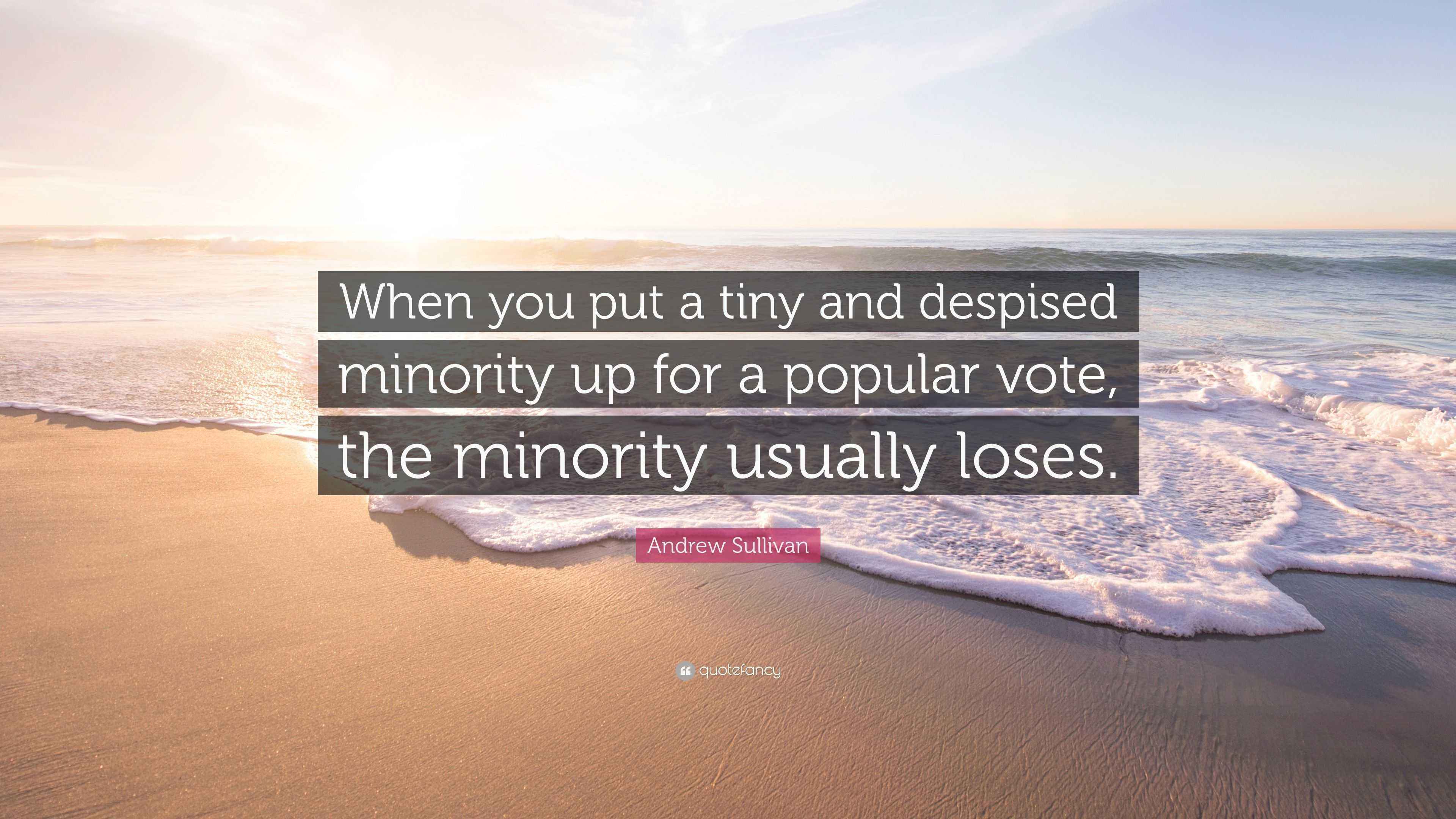 Andrew Sullivan Quote: “When you put a tiny and despised minority up ...