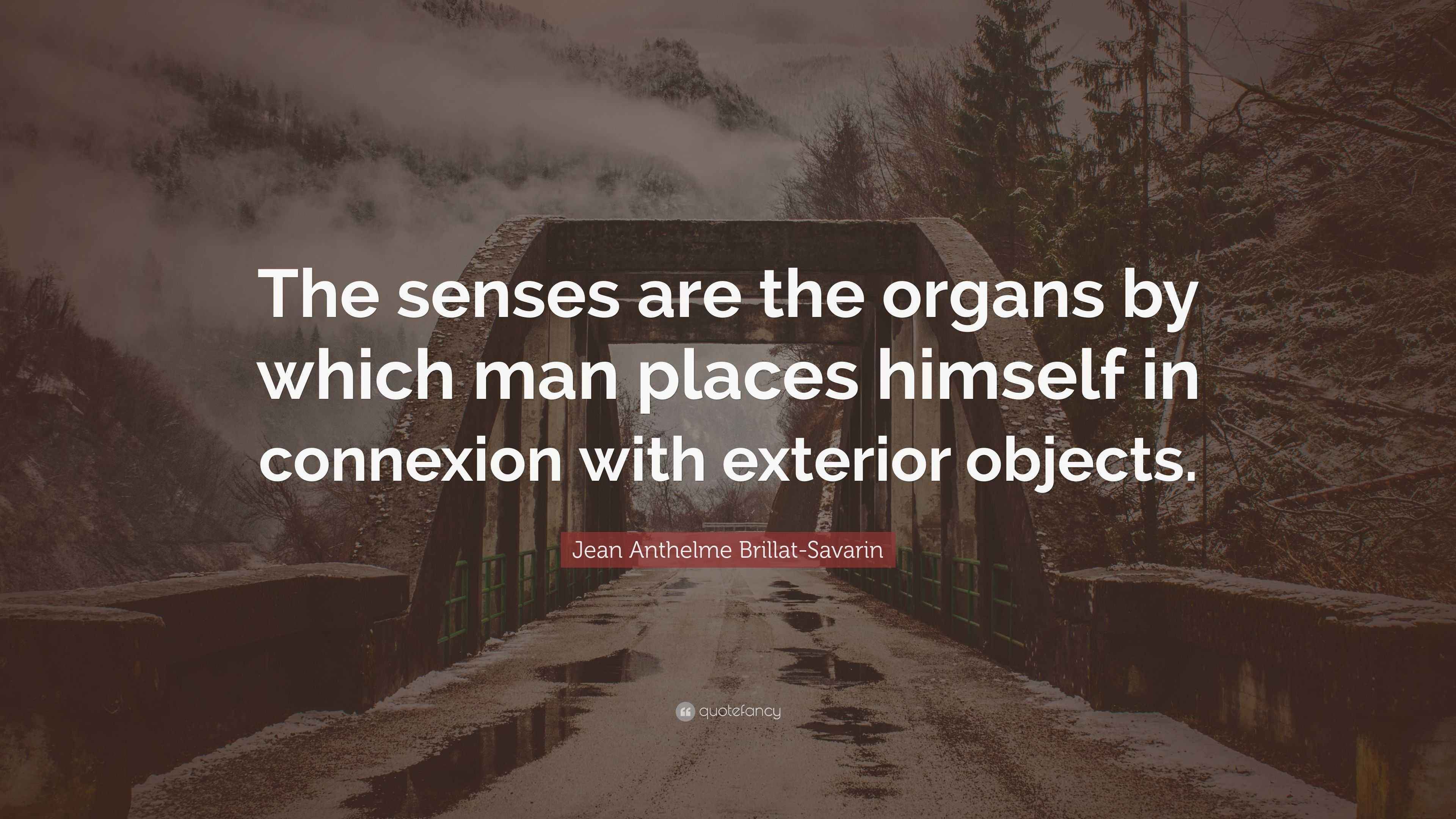Jean Anthelme Brillat-Savarin Quote: “The senses are the organs by ...