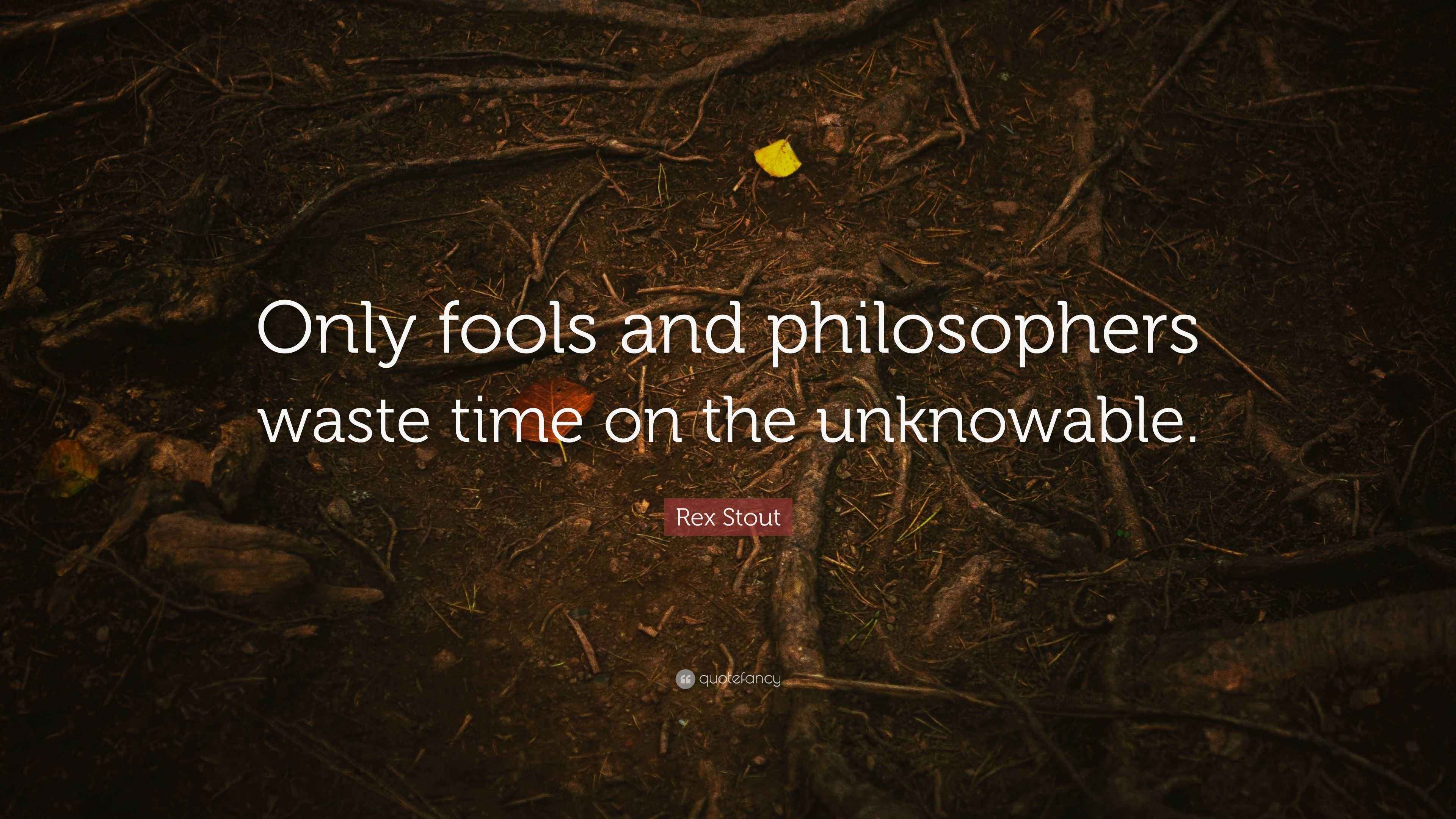 Rex Stout Quote: “Only fools and philosophers waste time on the ...
