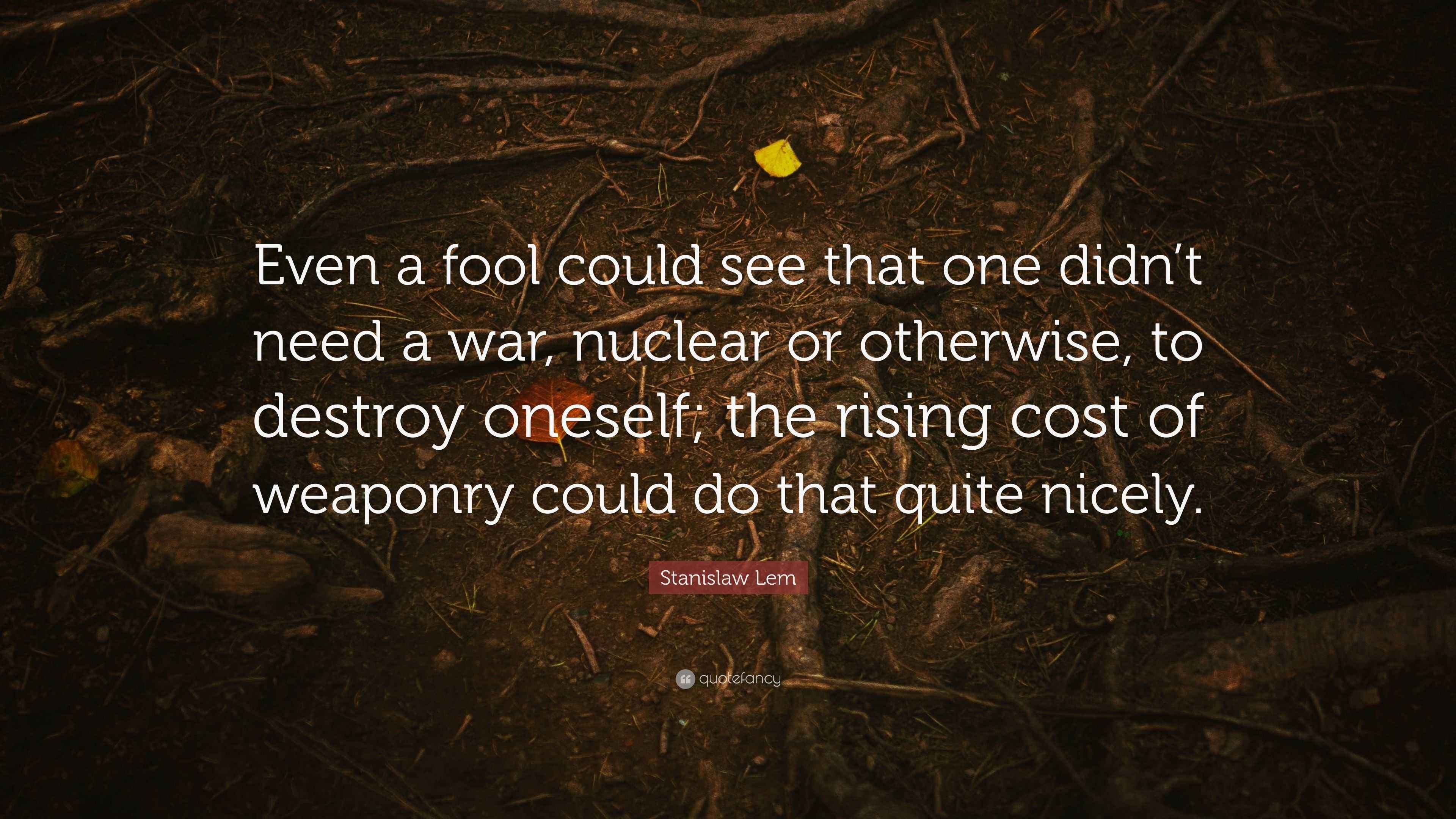 Stanislaw Lem Quote: “Even a fool could see that one didn’t need a war ...
