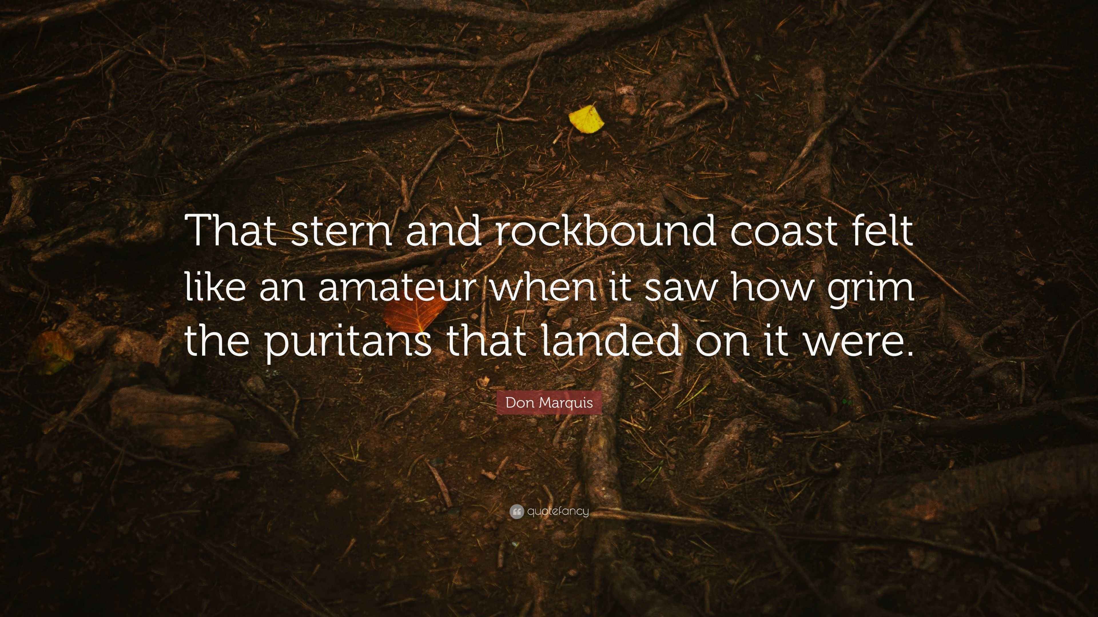 Don Marquis Quote: “That stern and rockbound coast felt like an amateur ...