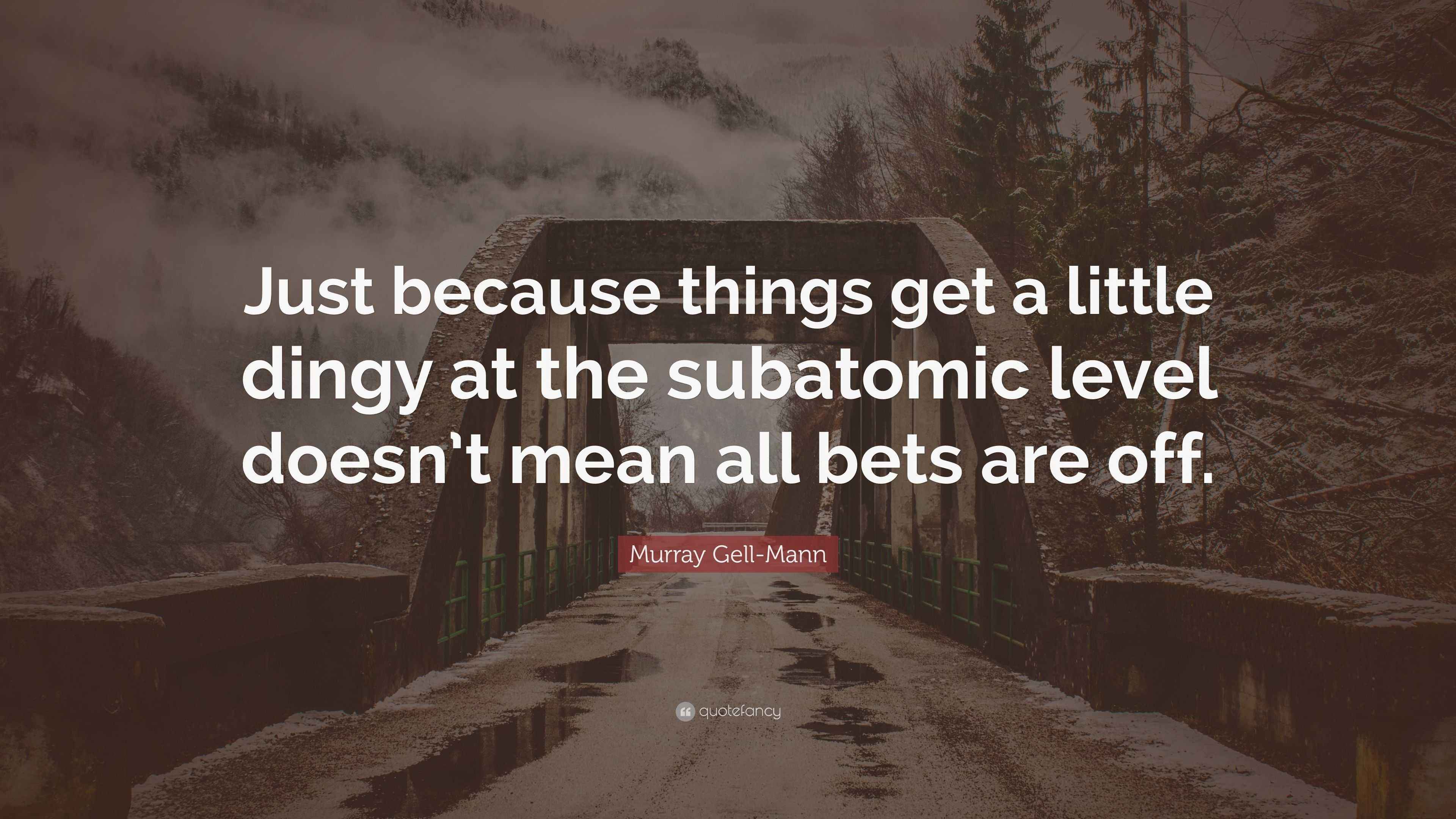 Murray Gell-Mann Quote: “Just because things get a little dingy at the ...