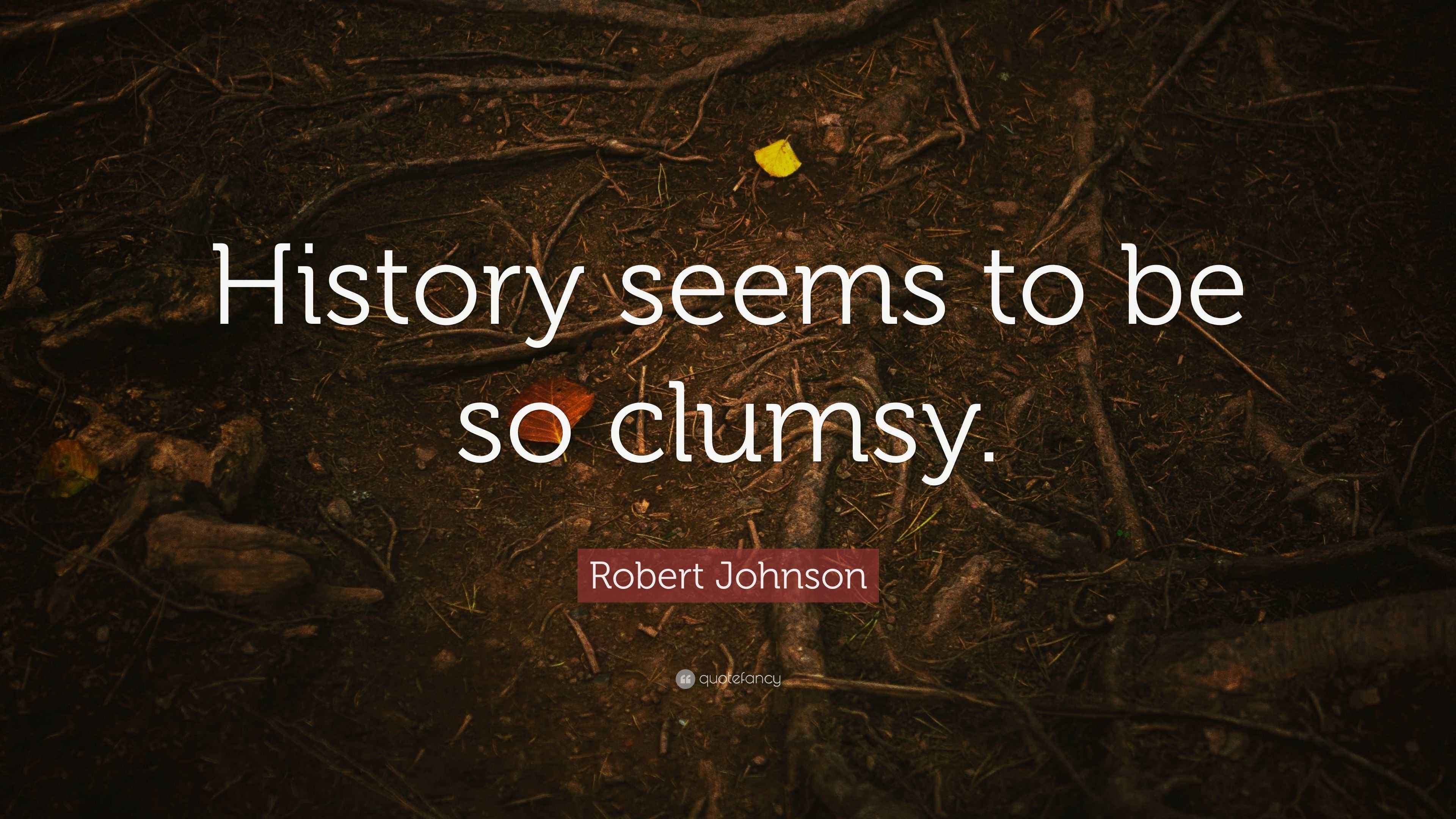 Robert Johnson Quote: “History seems to be so clumsy.”