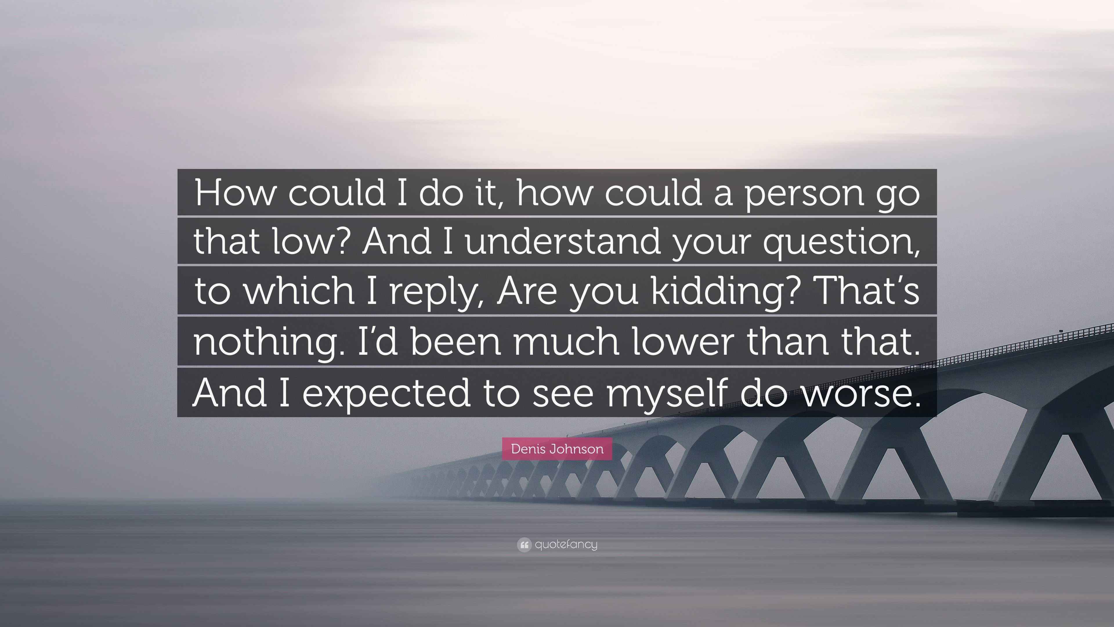 Denis Johnson Quote: “How could I do it, how could a person go that low ...
