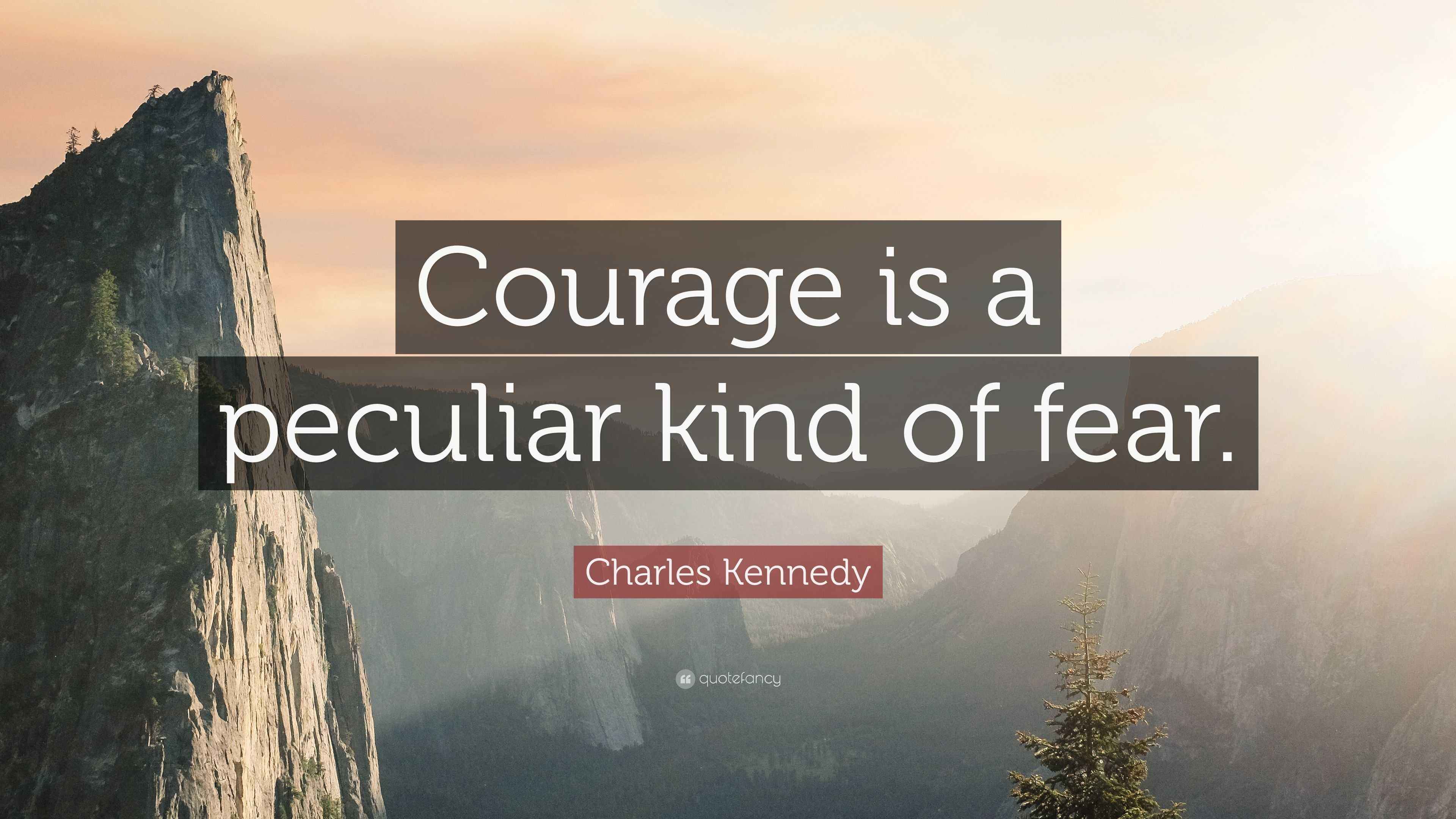 Charles Kennedy Quote: “Courage is a peculiar kind of fear.”